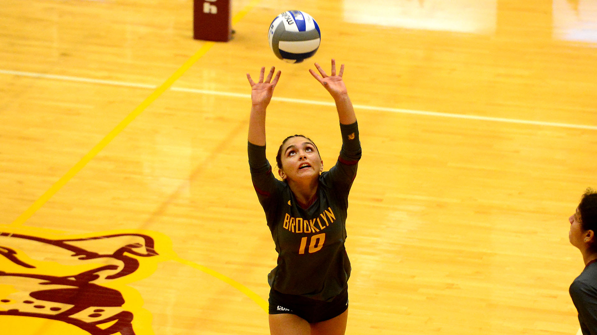 Bulldogs Sweep Purchase at Home to Improve to .500 on the Season ...