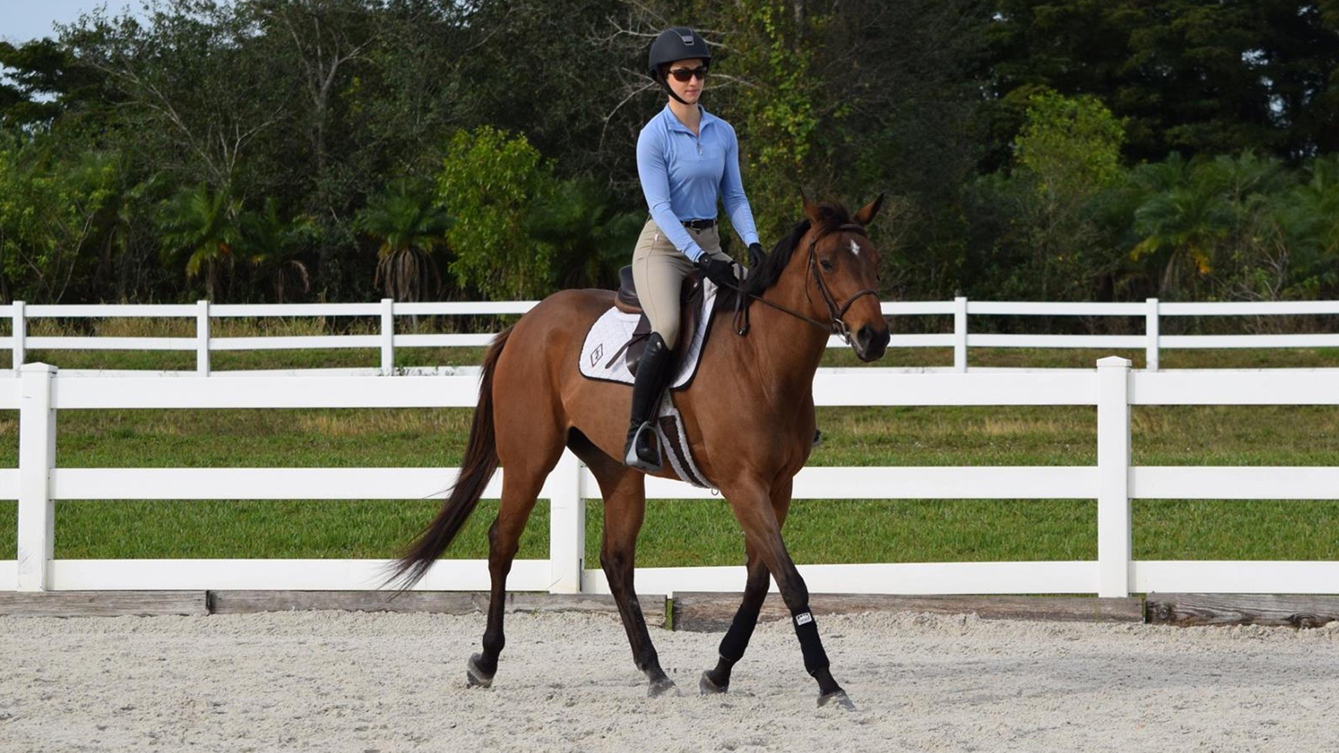 Equestrian Wins Roger Williams University IHSA Show - Brown University ...