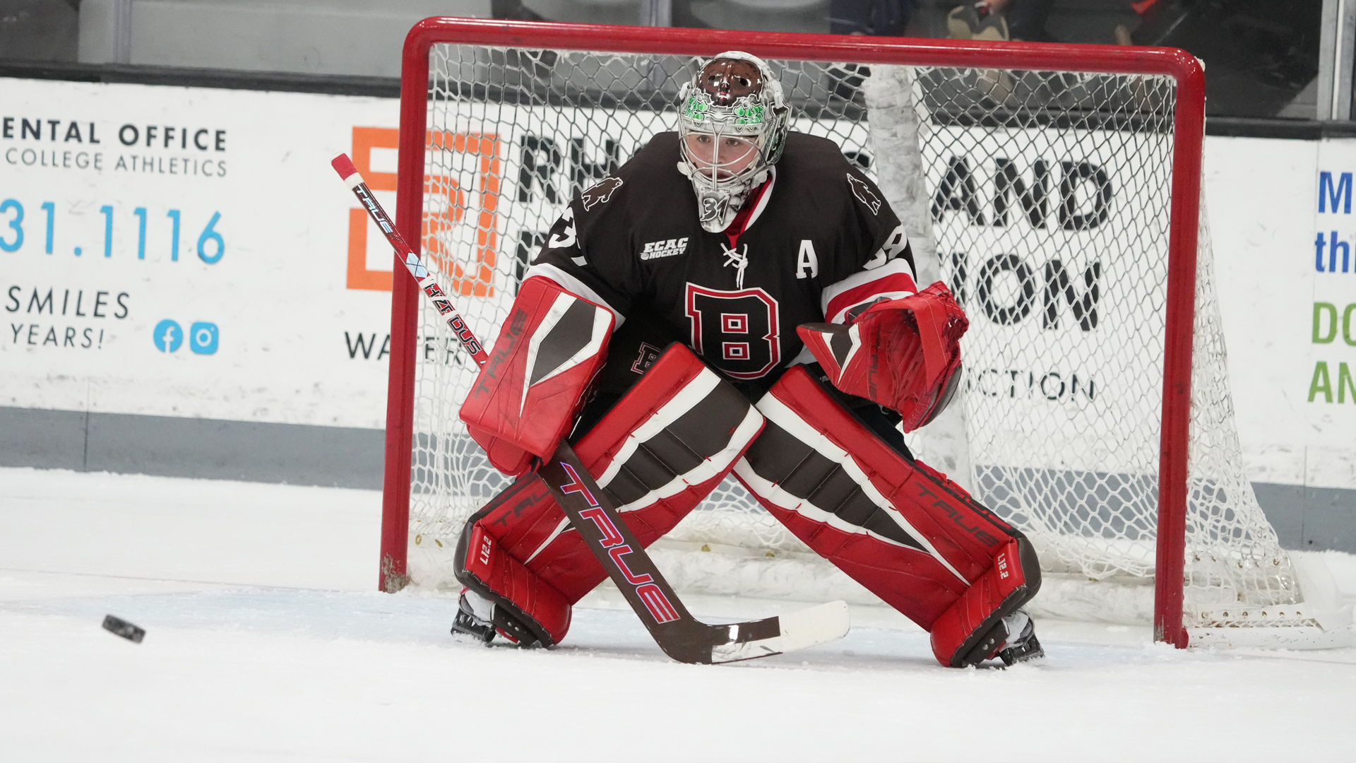 Kaley Doyle - Women's Ice Hockey - Brown University Athletics