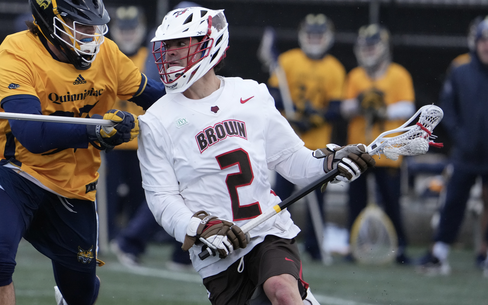 Darian Cook - Men's Lacrosse - Brown University Athletics