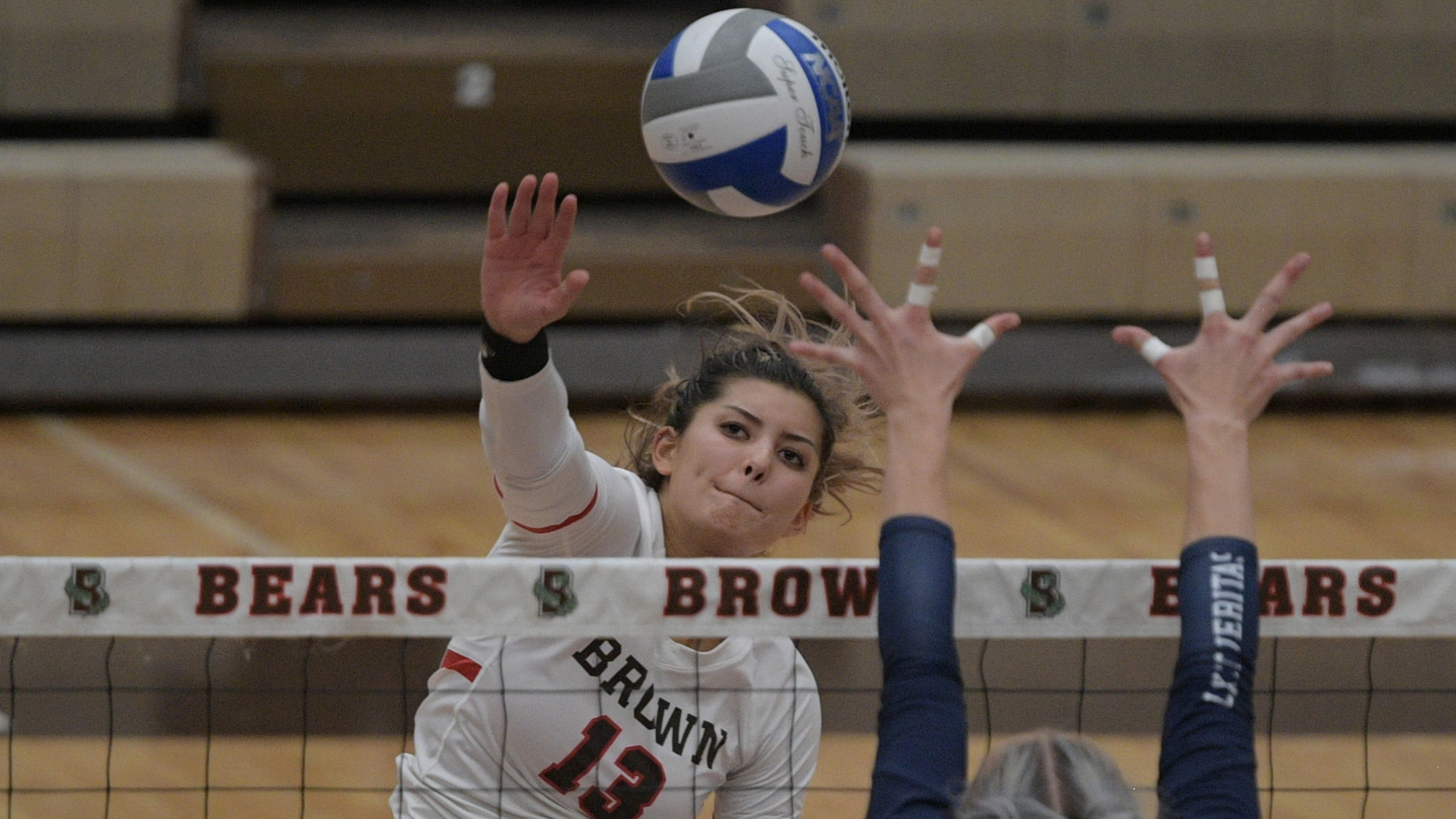Kayla Griebl - Women's Volleyball - Brown University Athletics
