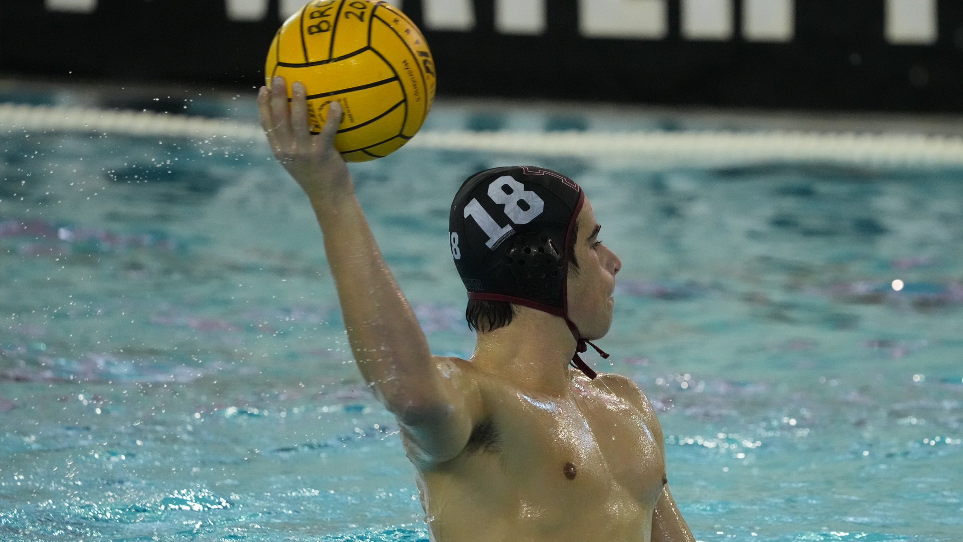 Daniel Hadar - Men's Water Polo - Brown University Athletics