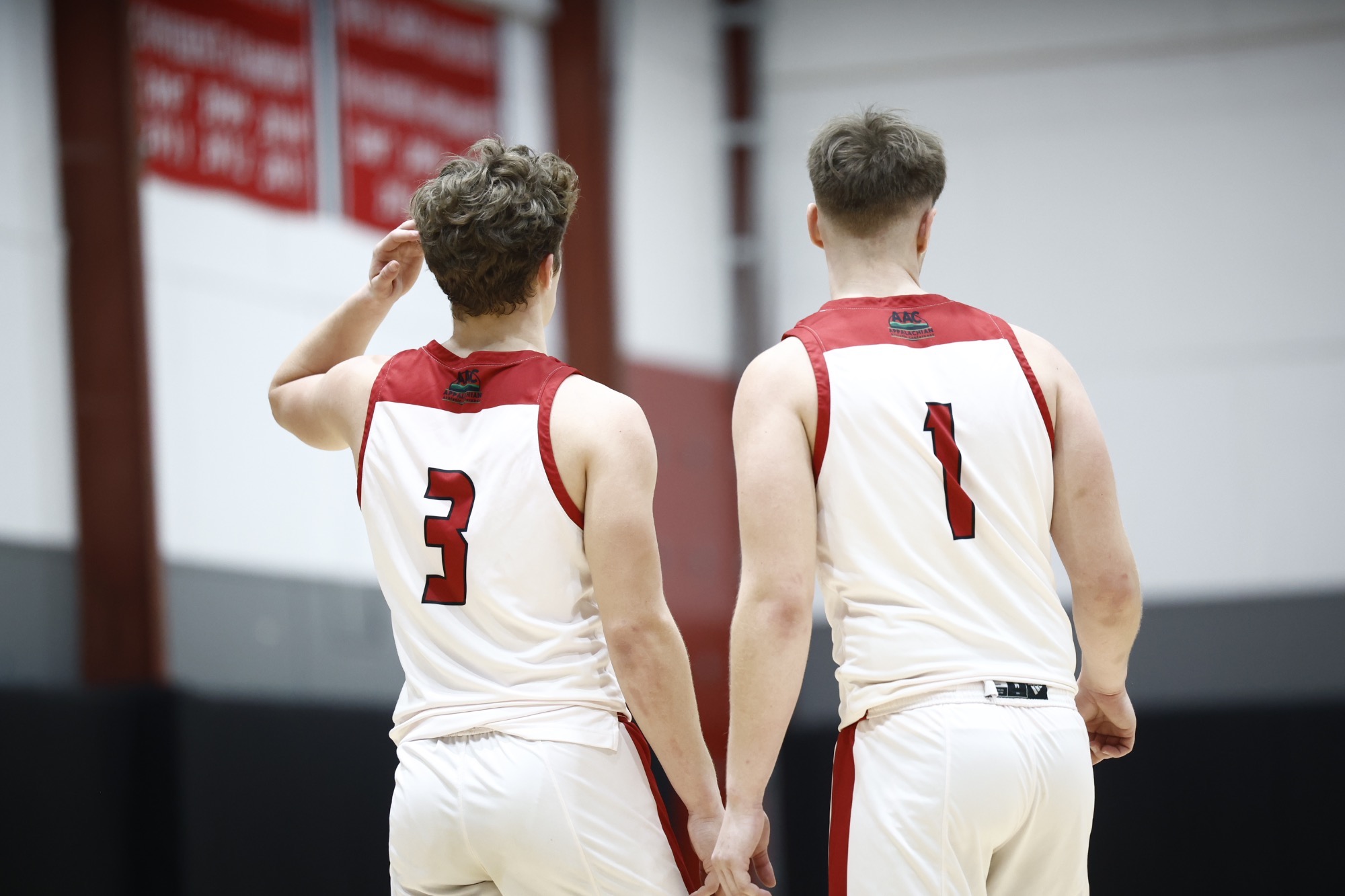 Lions Fall Short On Senior Night Against Top Ranked Union - Bryan College