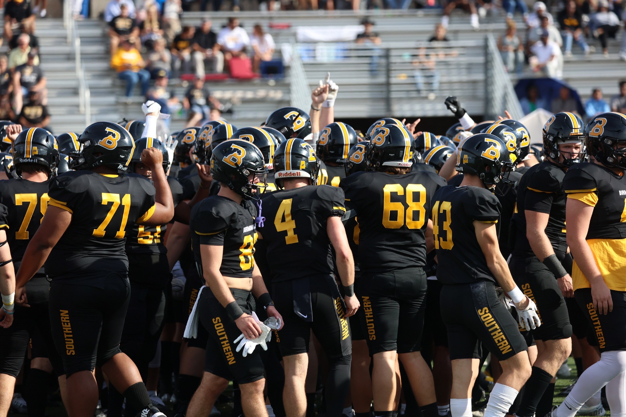 PANTHERS STUNNED BY LYNX - Birmingham-Southern College