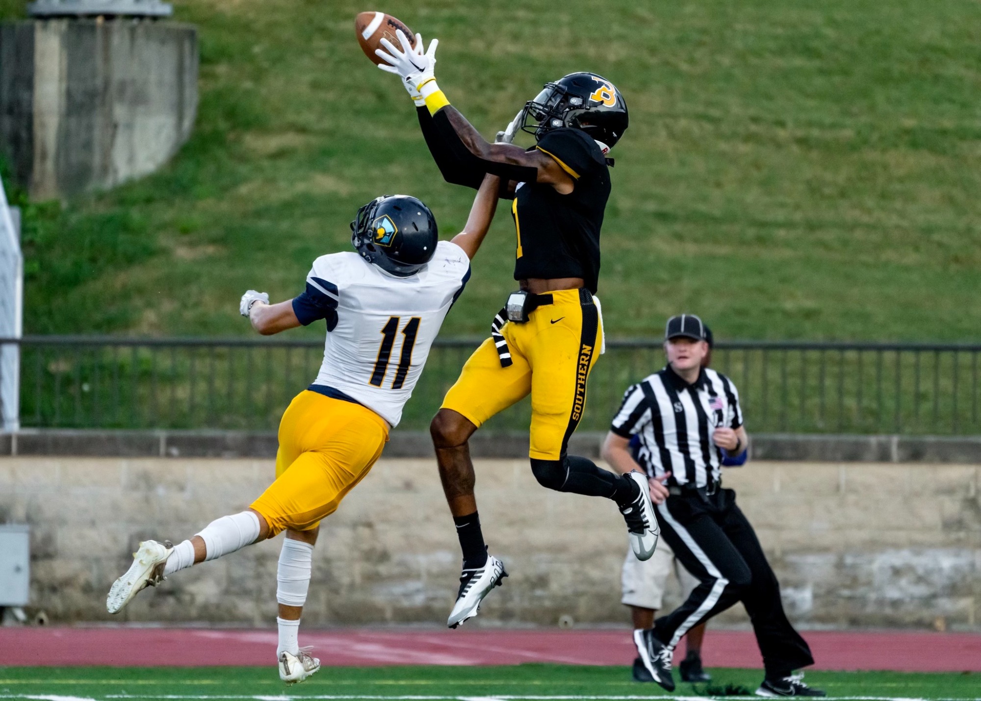 PANTHERS SOAR PAST SKYHAWKS 34-14 - Birmingham-Southern College