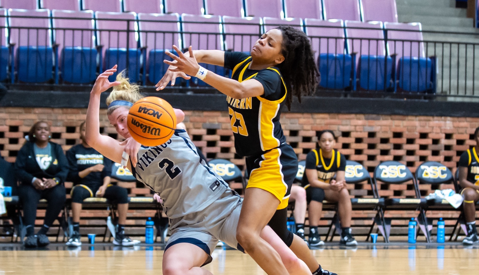 Sheraton Foster - 2023-24 - Women's Basketball - Birmingham-Southern ...