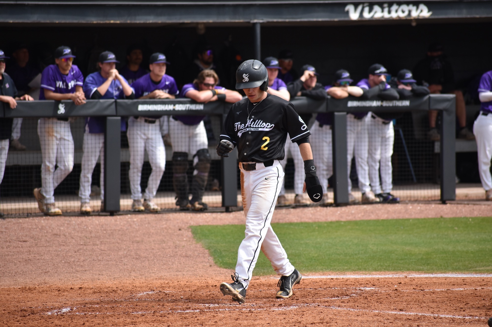 PANTHERS CONTINUE HOT HITTING IN SECOND ROUND WIN - Birmingham-Southern ...