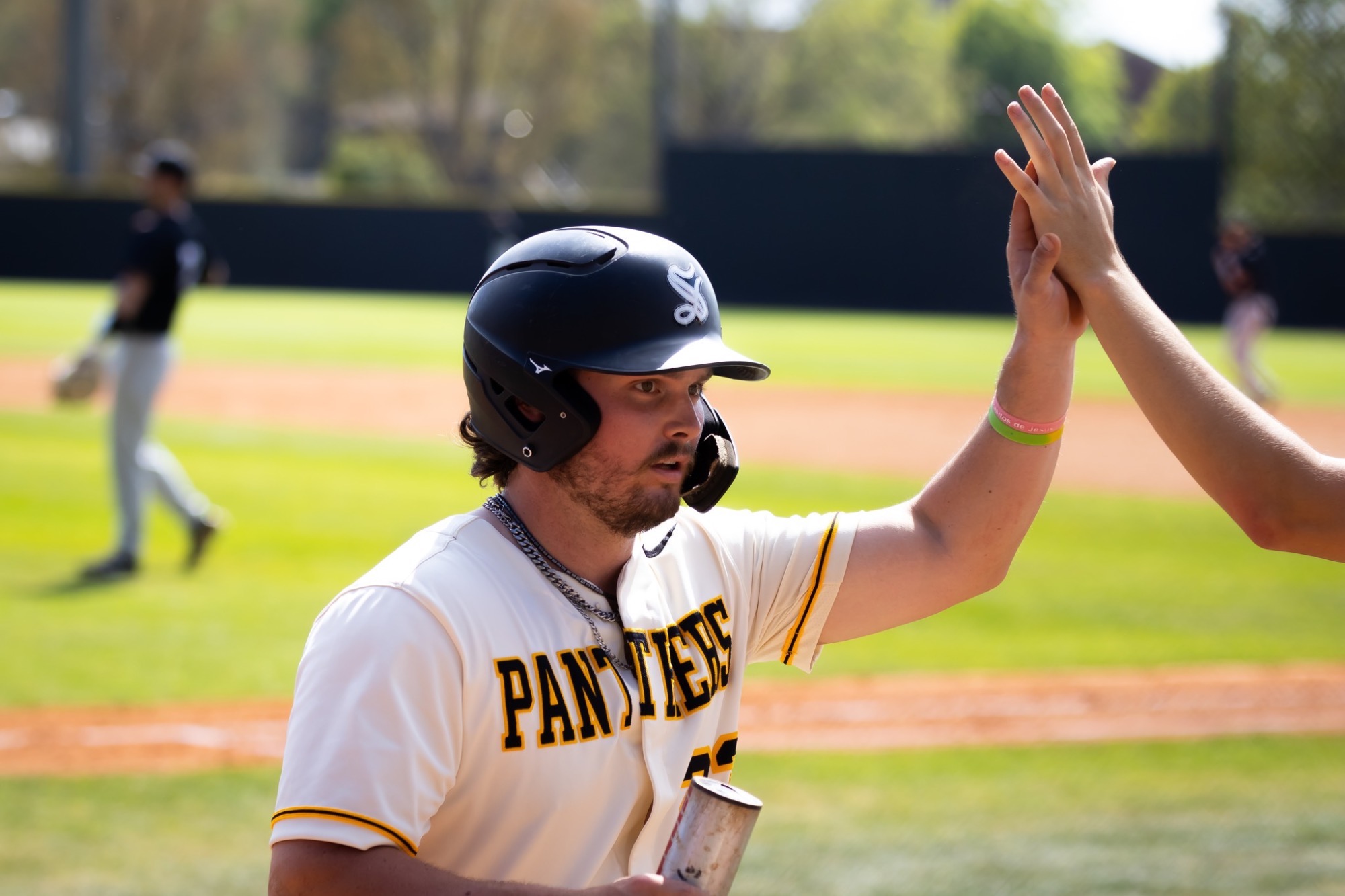 BSC SPLITS SATURDAY DOUBLEHEADER - Birmingham-Southern College