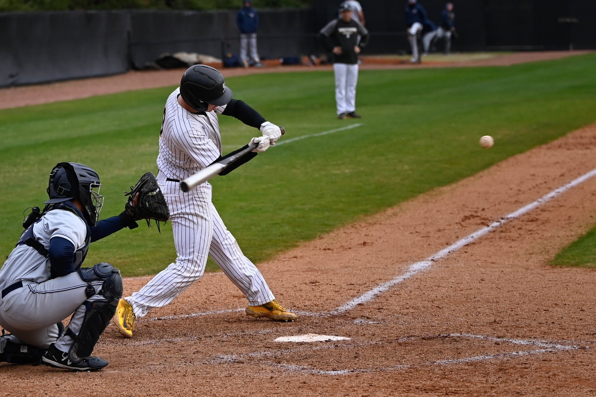 PANTHERS SWEEP BIRMINGHAM-SOUTHERN CLASSIC - Birmingham-Southern College