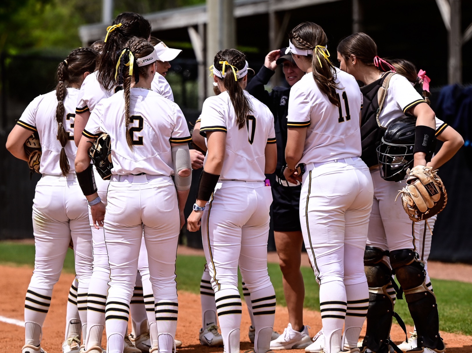 SOFTBALL ADVANCES TO SAA POD CHAMPIONSHIP - Birmingham-Southern College