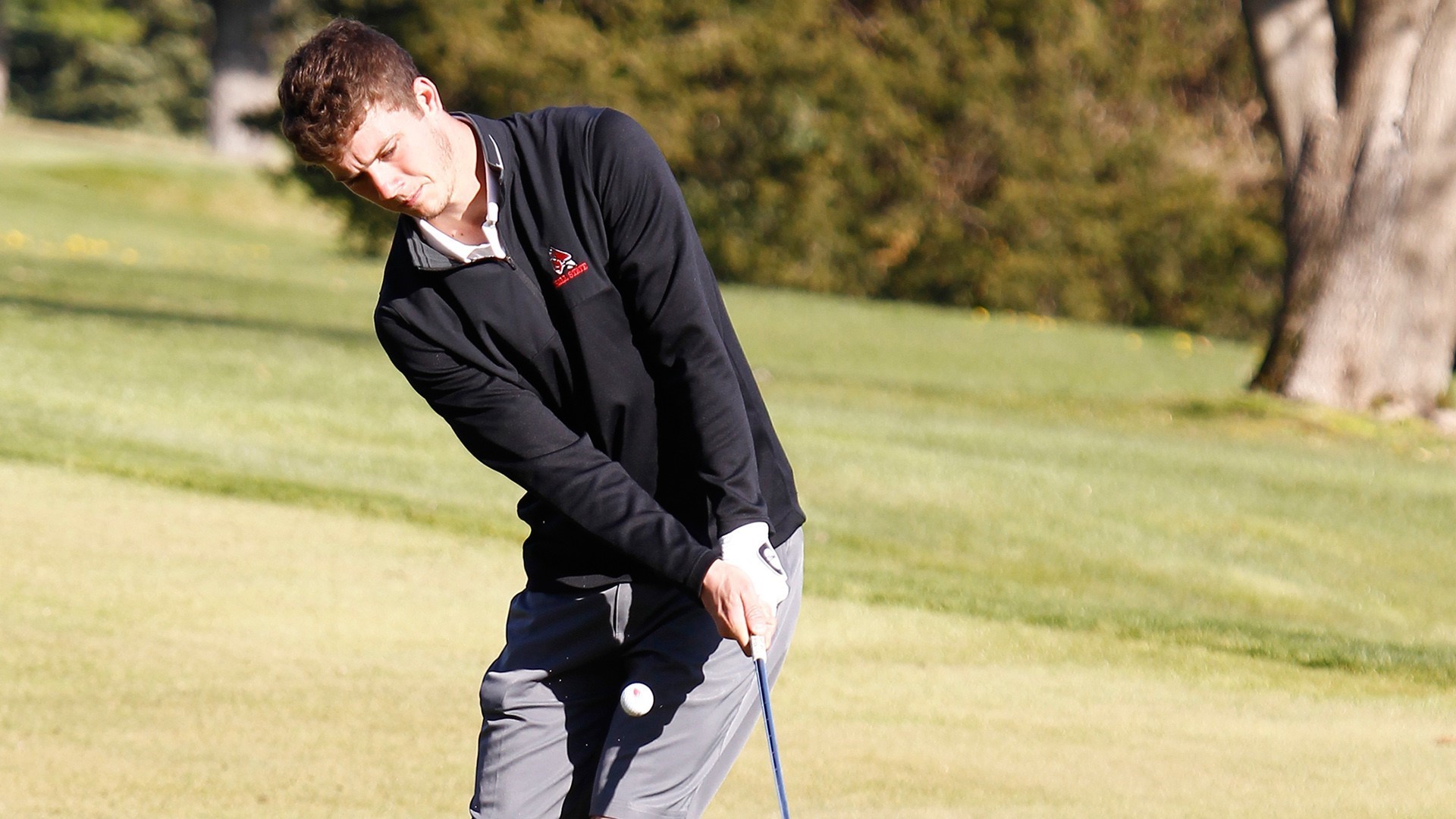 Colin Proctor - Men's Golf - Ball State University Athletics