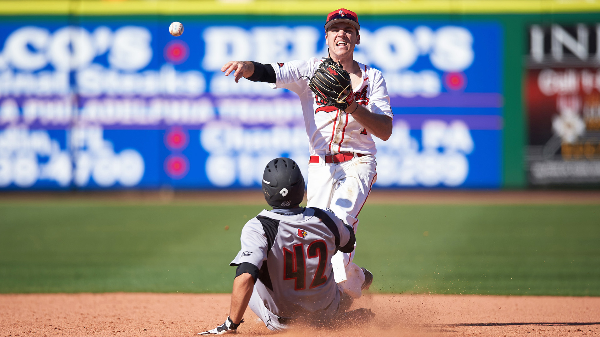 Seth Freed - Baseball - Ball State University Athletics