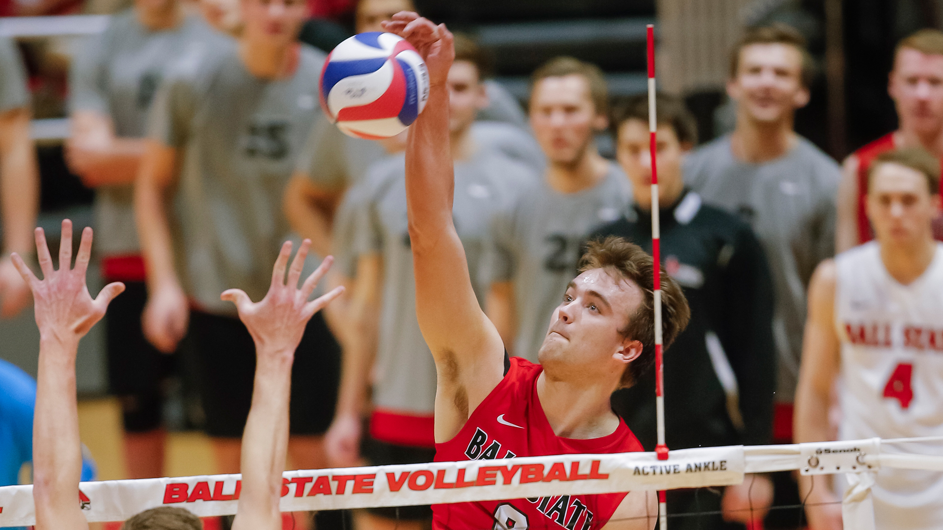 Blake Reardon - Men's Volleyball - Ball State University Athletics