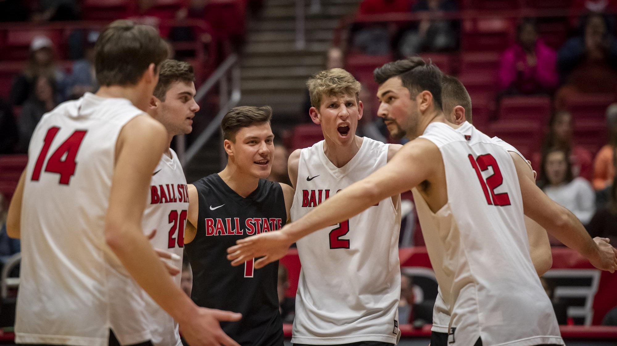 Adam Wessel - Men's Volleyball - Ball State University Athletics