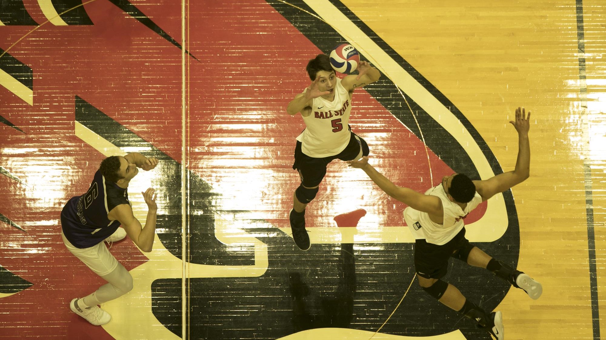 Quinn Isaacson - Men's Volleyball - Ball State University Athletics