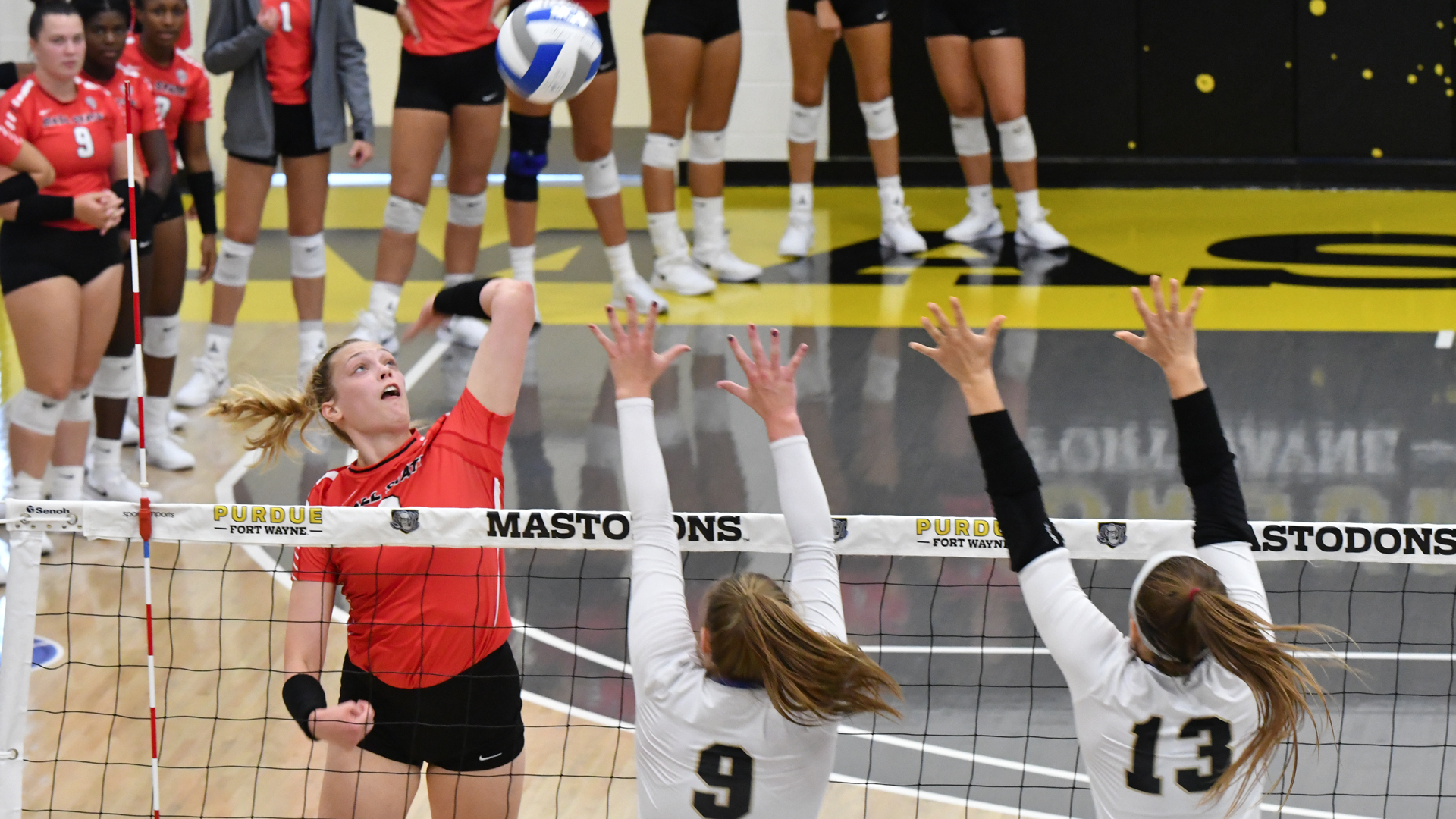 Allison Hamaker - Women's Volleyball - Ball State University Athletics