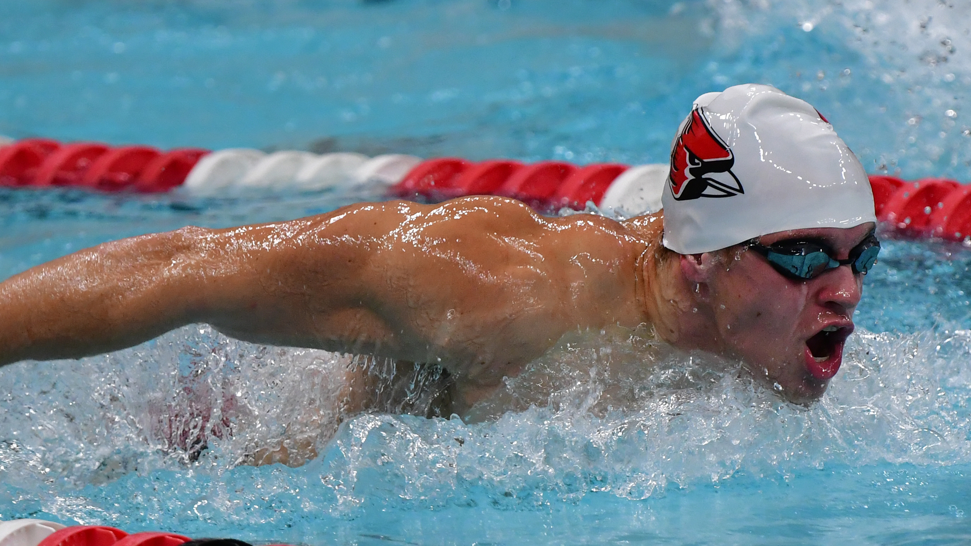 Bryce Handshoe - Men's Swimming and Diving - Ball State University ...