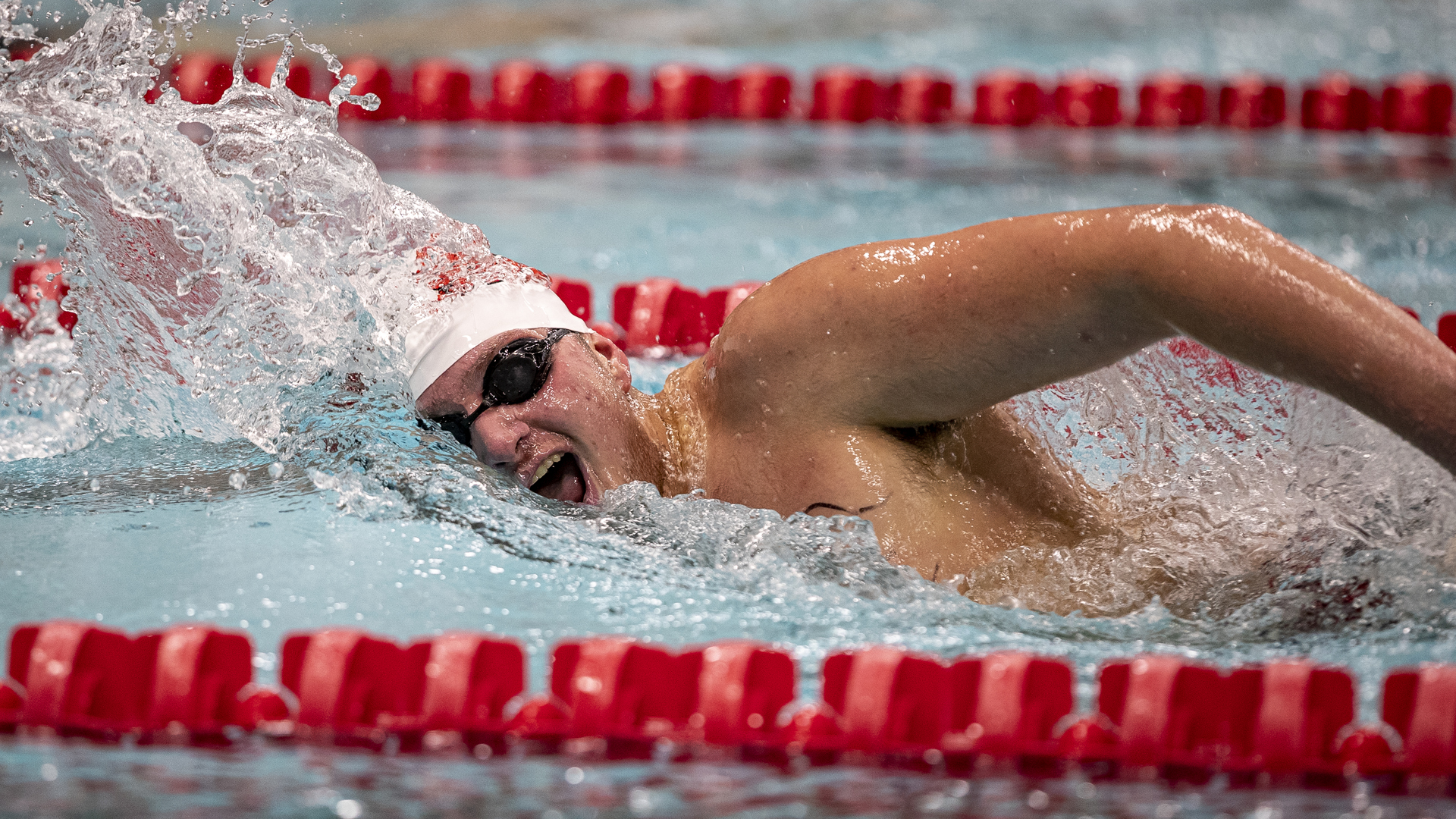 Dillon Freiberger - Men's Swimming and Diving - Ball State University ...