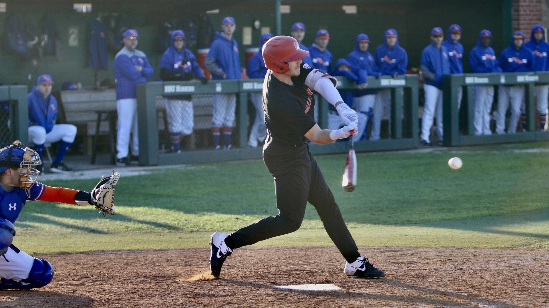 Ross Messina - Baseball - Ball State University Athletics