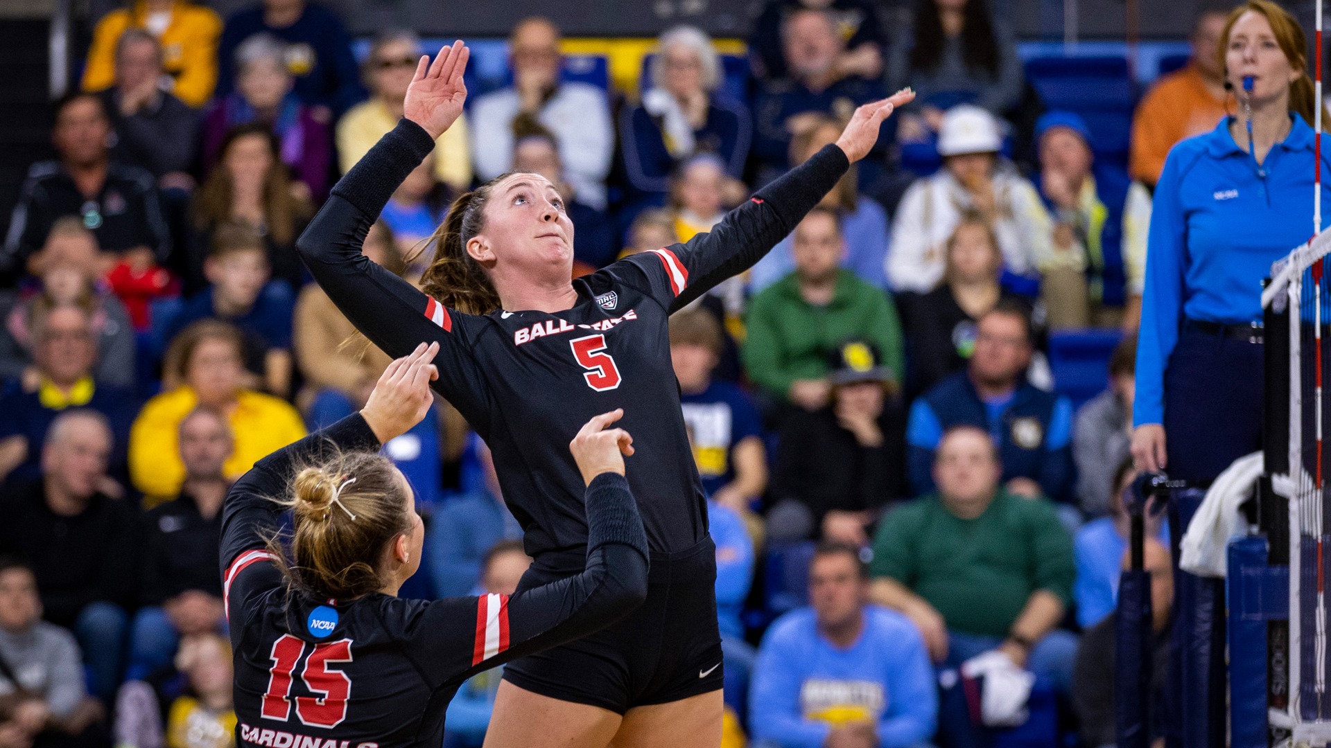 Marie Plitt - Women's Volleyball - Ball State University Athletics