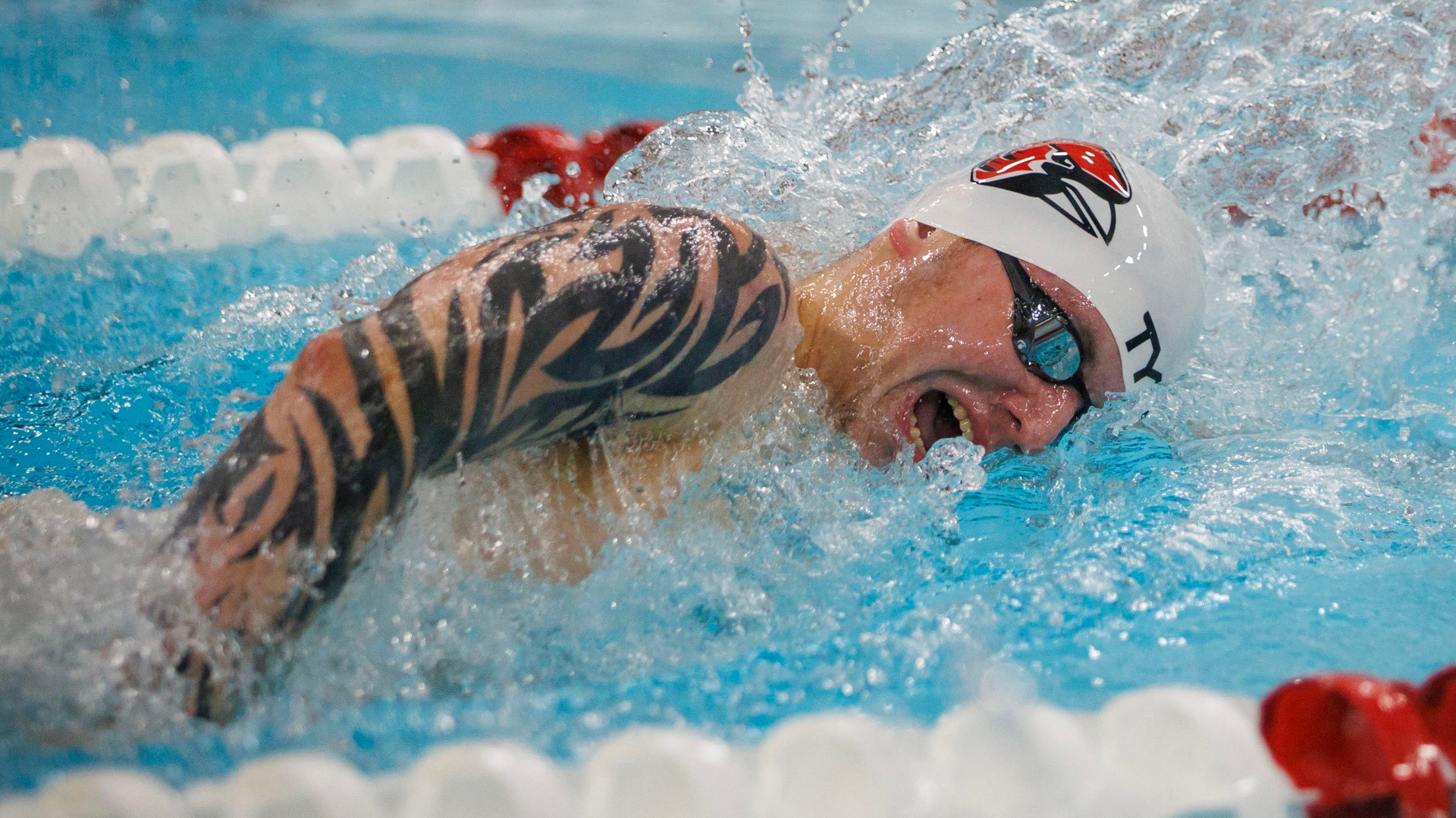 Seth Blossom - Men's Swimming and Diving - Ball State University Athletics