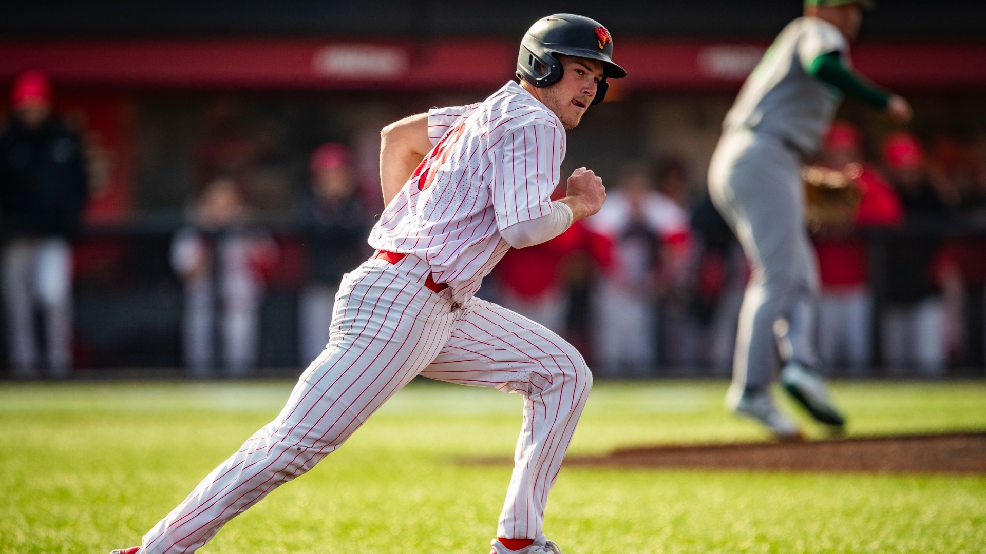 Decker Scheffler - Baseball - Ball State University Athletics