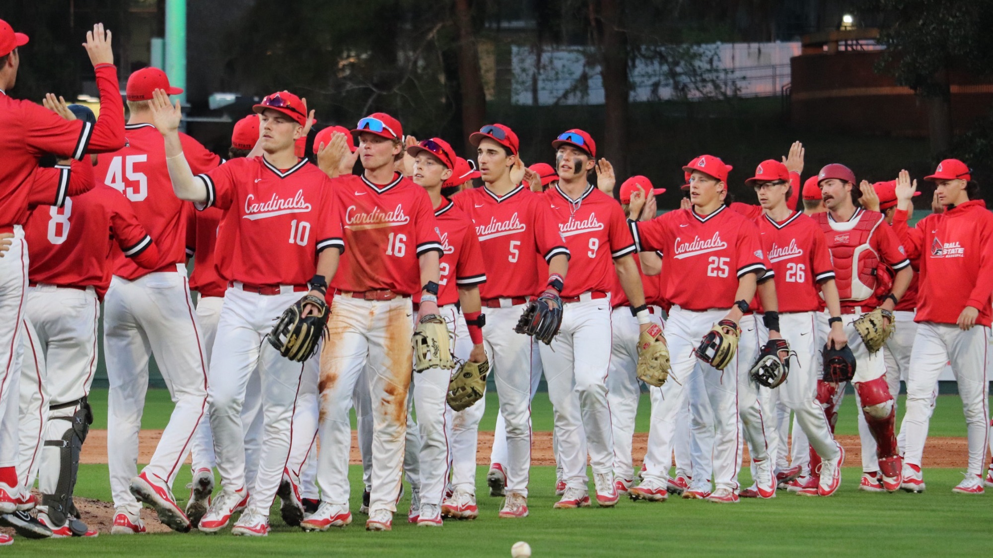 Dylan Grego - Baseball - Ball State University Athletics