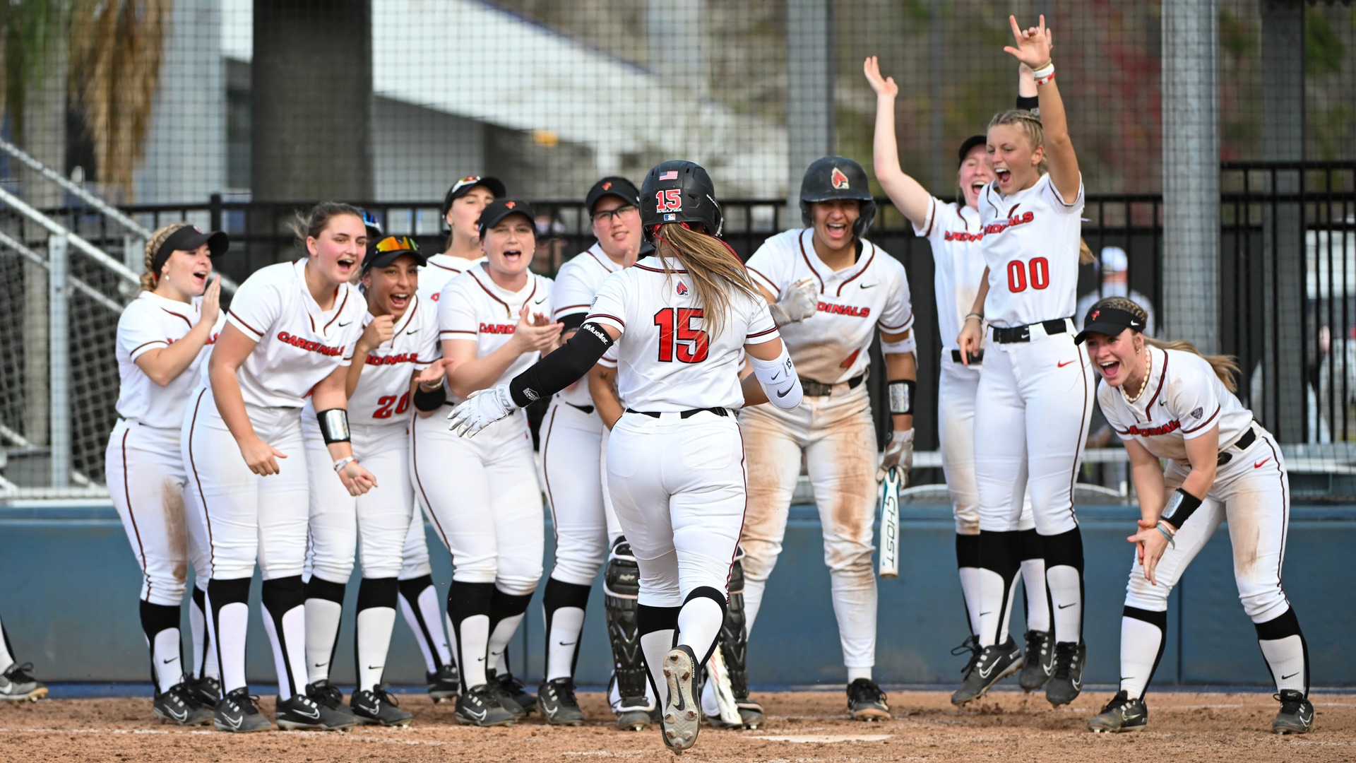 Haley Wynn - Softball - Ball State University Athletics
