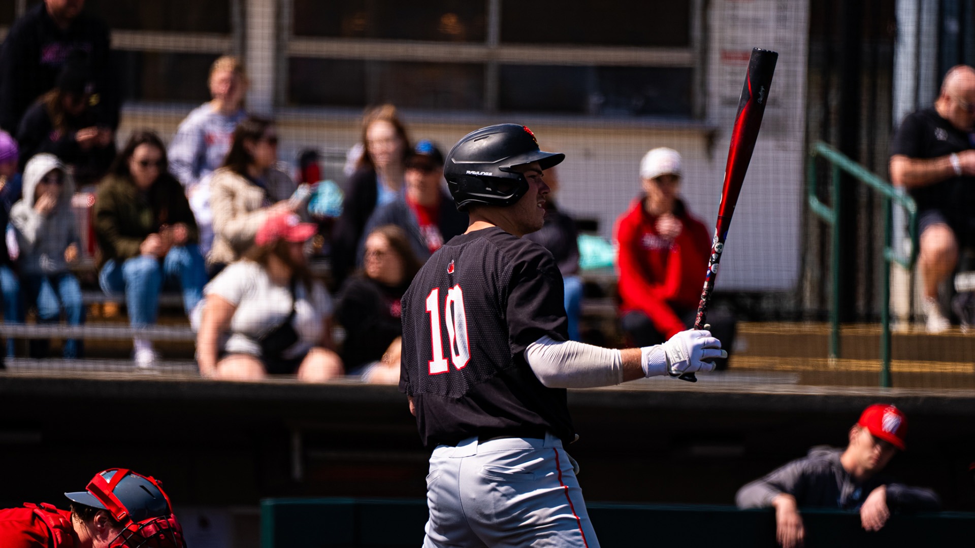 Decker Scheffler - Baseball - Ball State University Athletics
