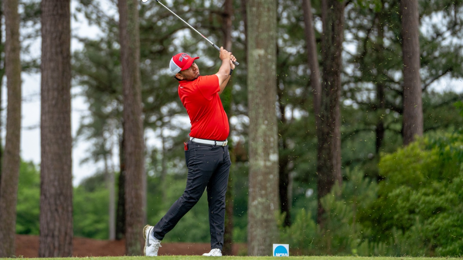 Fleck Signs Highly Regarded Transfer For 2024-25 Men's Golf Roster ...