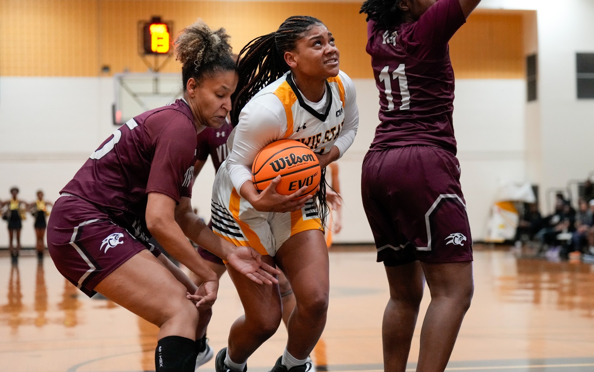 Robyn Howard - Women's Basketball - Bowie State University Athletics