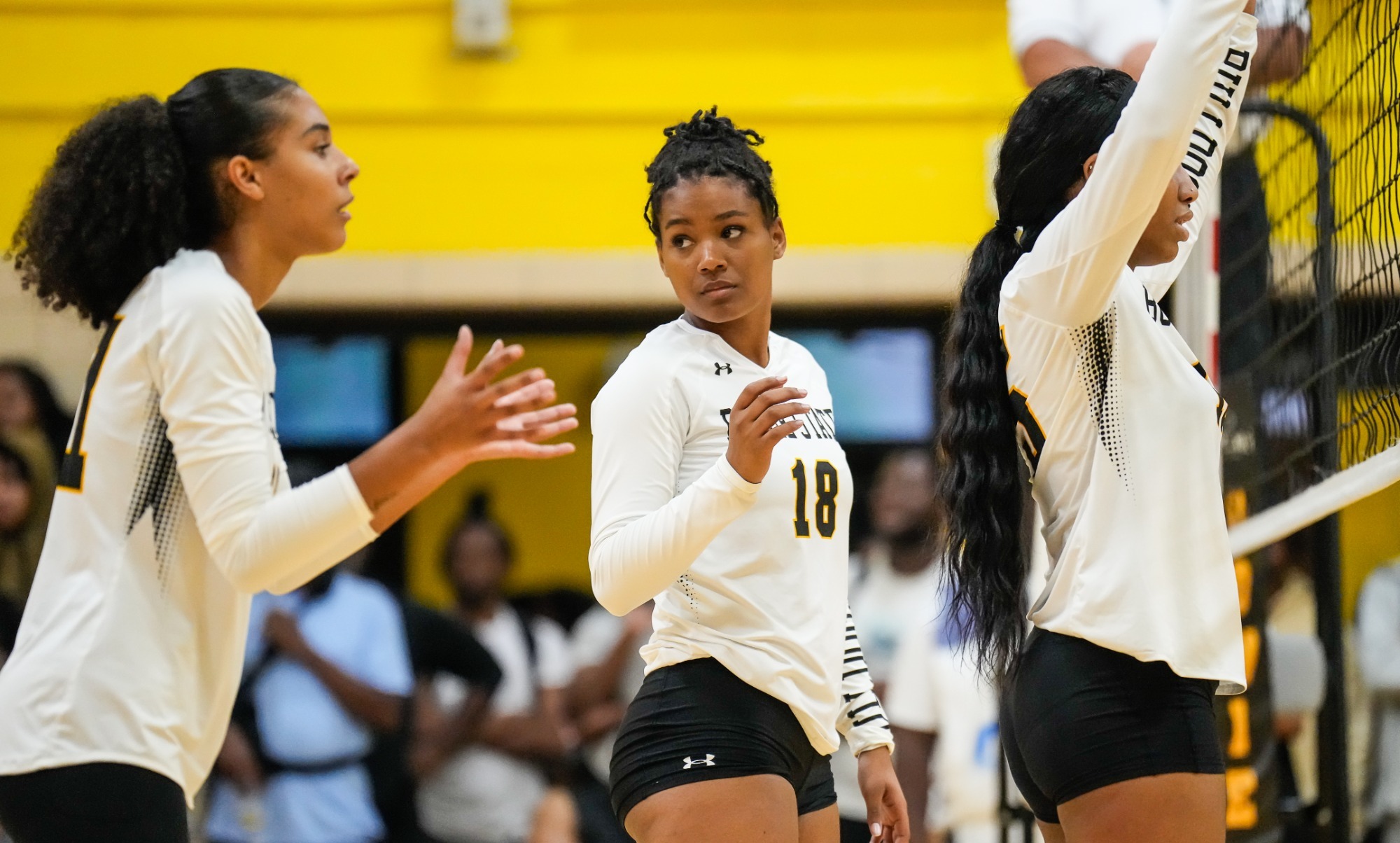 Tristynn Kerr - Volleyball - Bowie State University Athletics