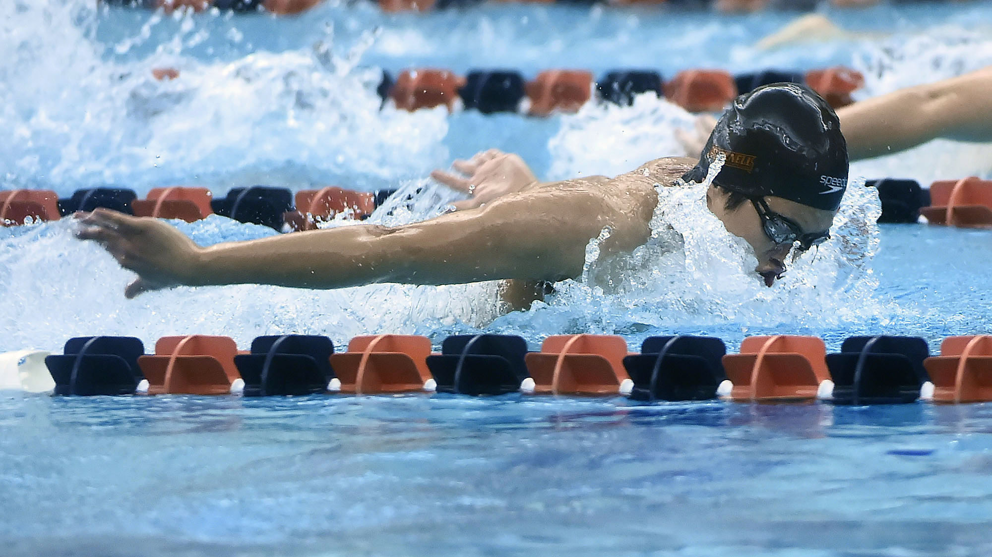 Men's Swim & Dive Welcomes Binghamton to Kinney Natatorium - Bucknell ...