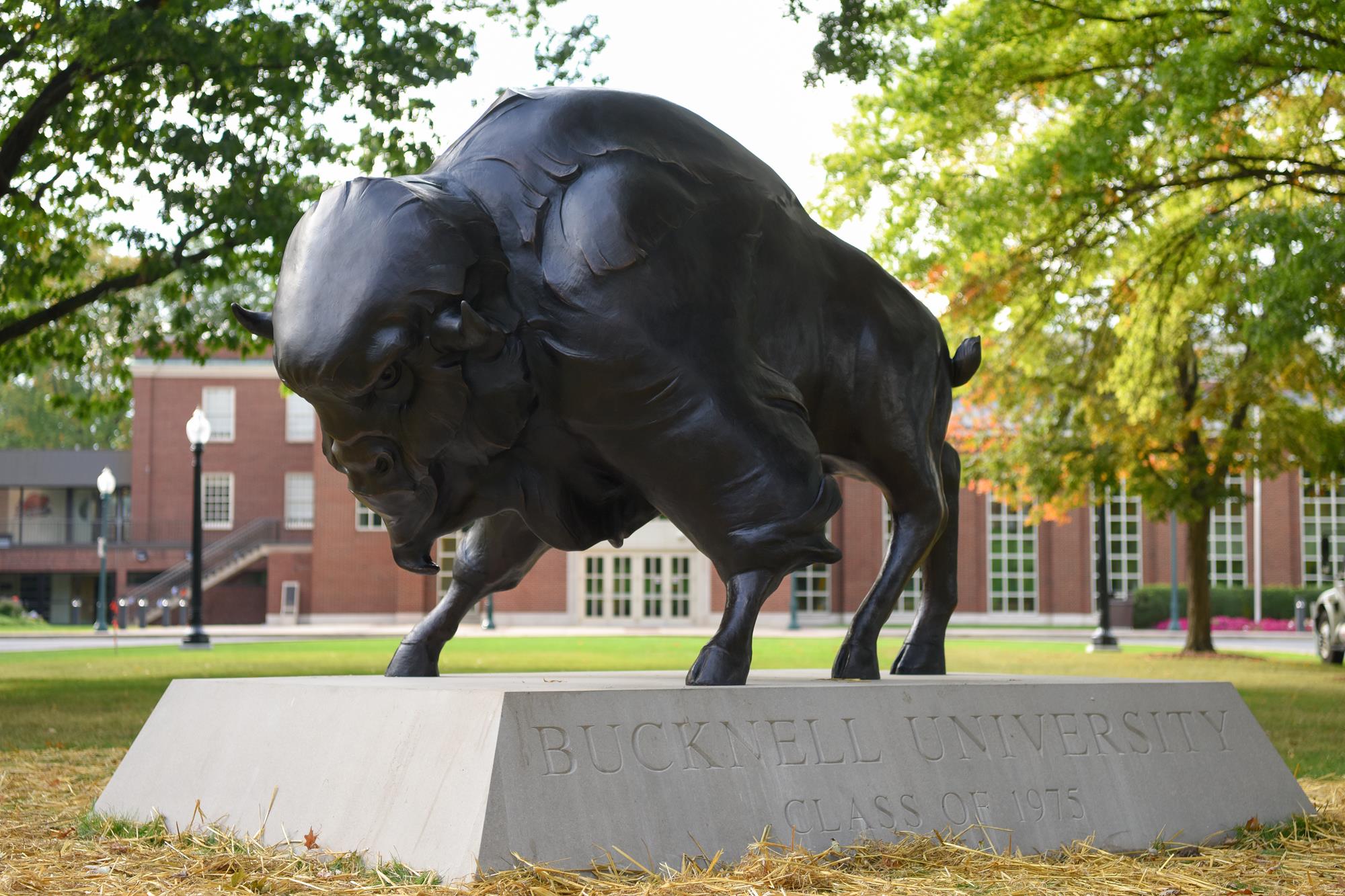 Bucknell Athletics & Recreation Unveils Strategic Plan - Bucknell ...