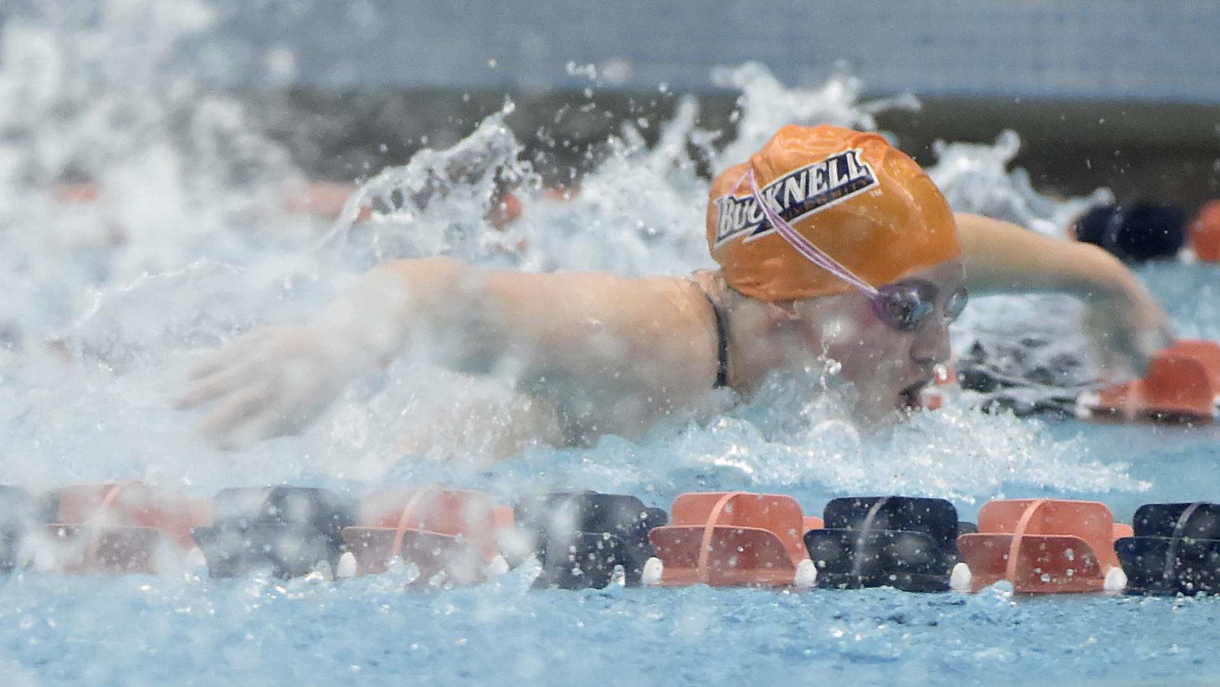 Women's Swim & Dive Vaults to Third at ECAC Championships - Bucknell ...