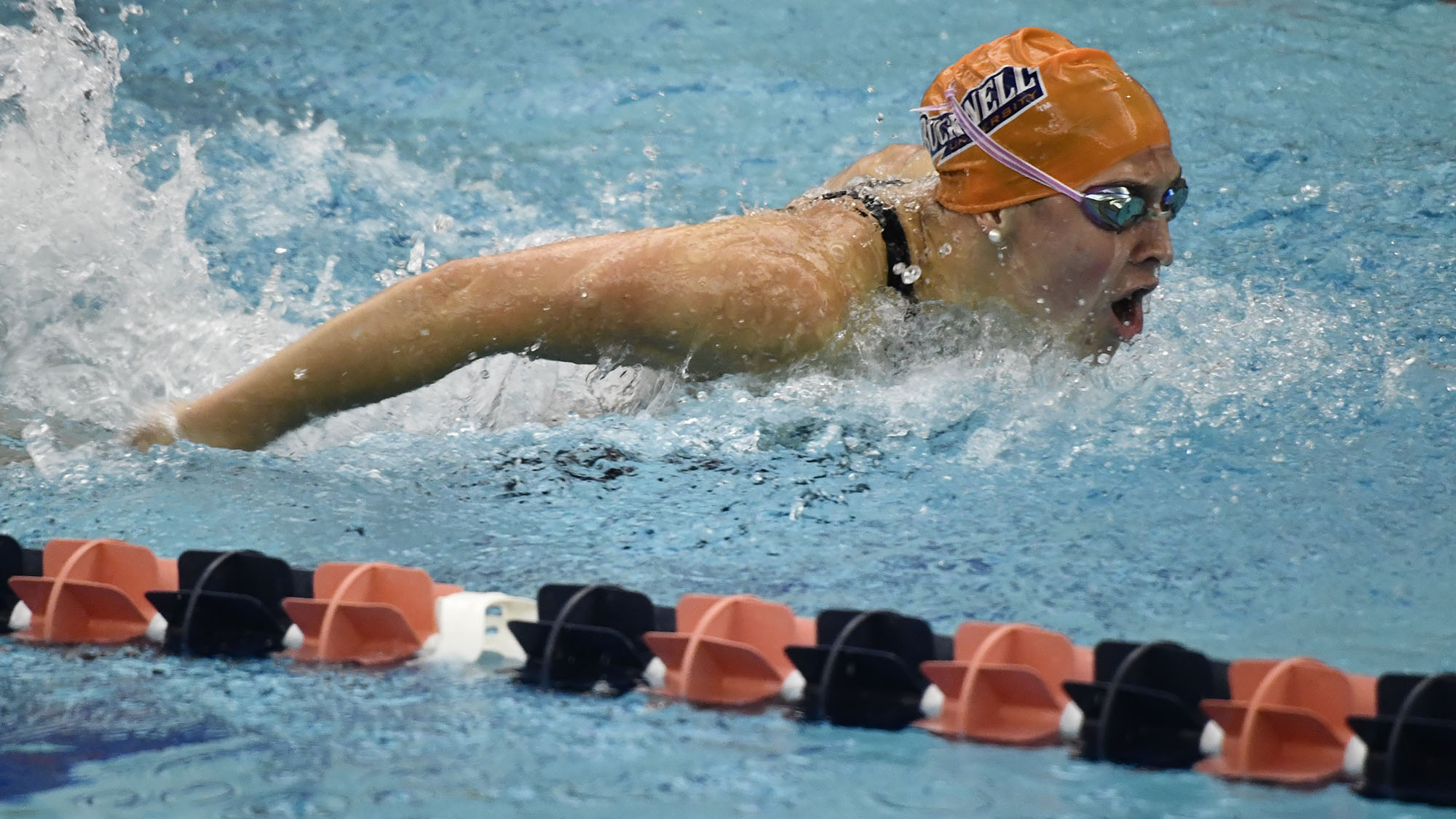 Women's Swim & Dive Enjoys Record-Setting Opening Night at PL ...