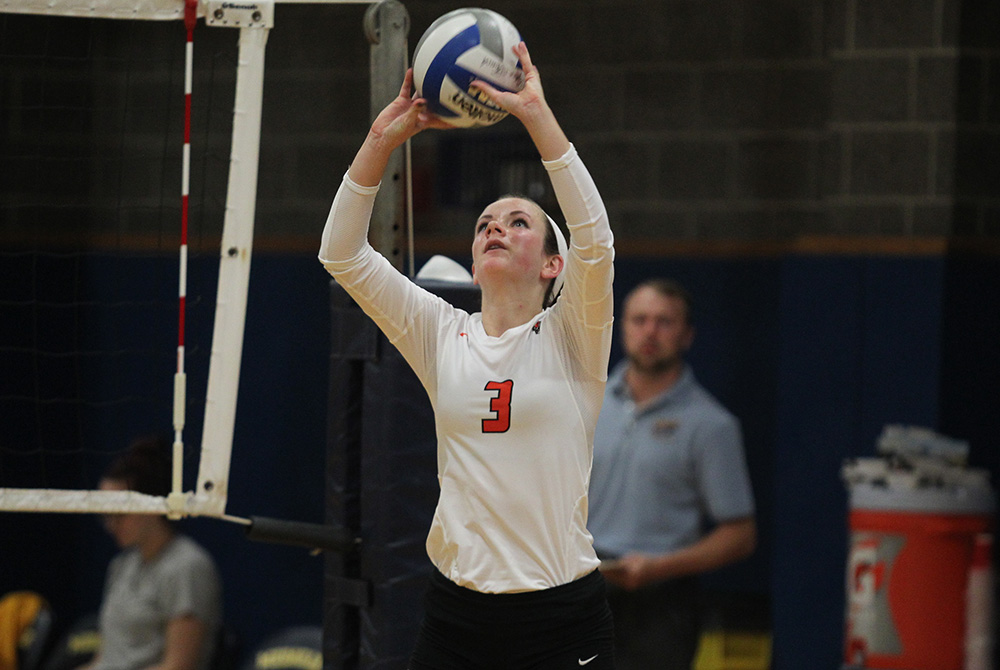 Jennifer Cecchettini - 2015 - Women's Volleyball - Buffalo State ...