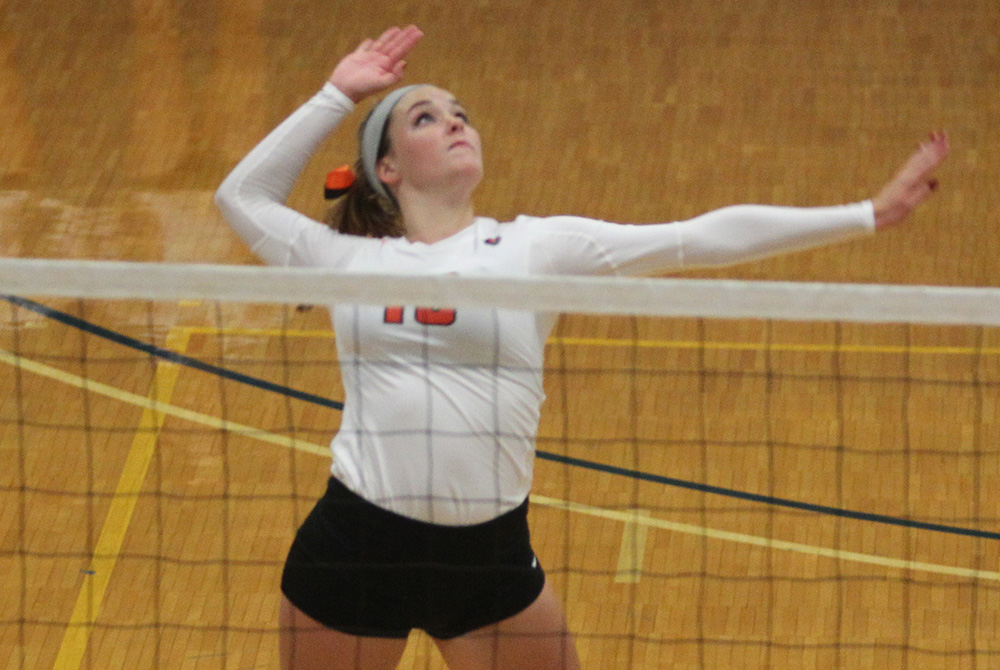 Riley Chapman - 2016 - Women's Volleyball - Buffalo State University Athletics