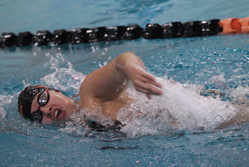 Michelle Viera - 2019-20 - Women's Swimming and Diving - Buffalo State ...