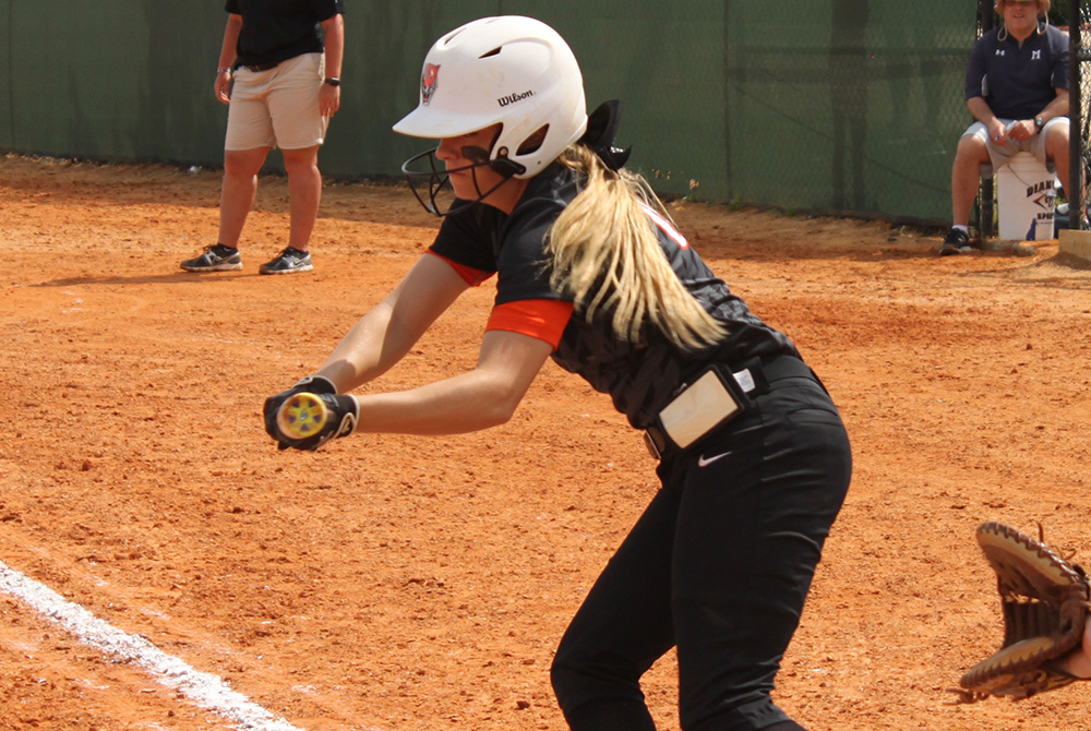 Laura Crooks - 2017 - Softball - Buffalo State University Athletics