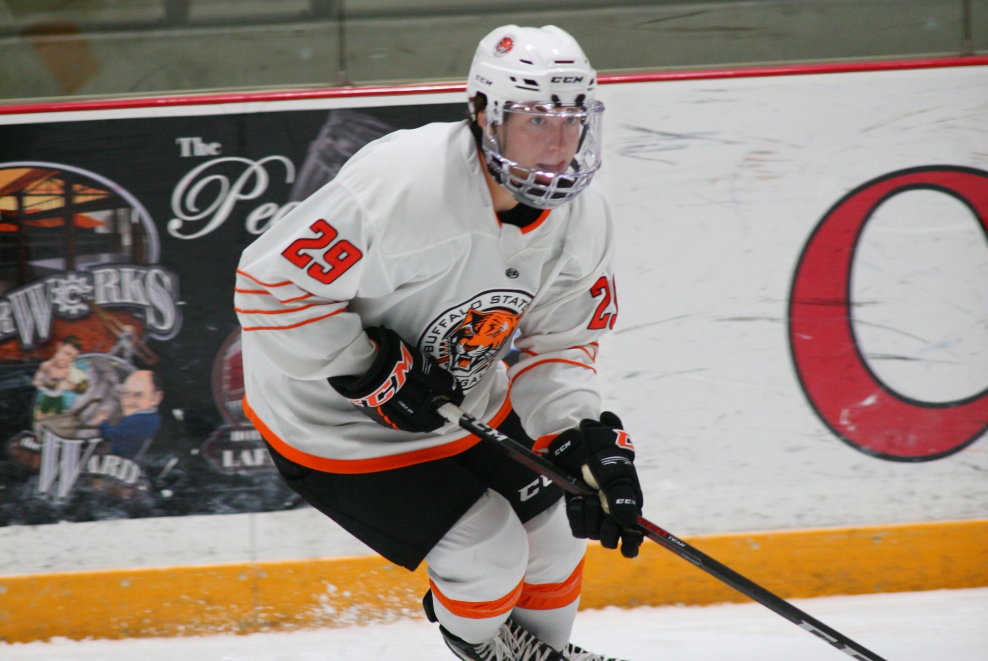 Tyler Vanuden's Late Goal Lifts Men's Hockey to Victory over Franklin ...