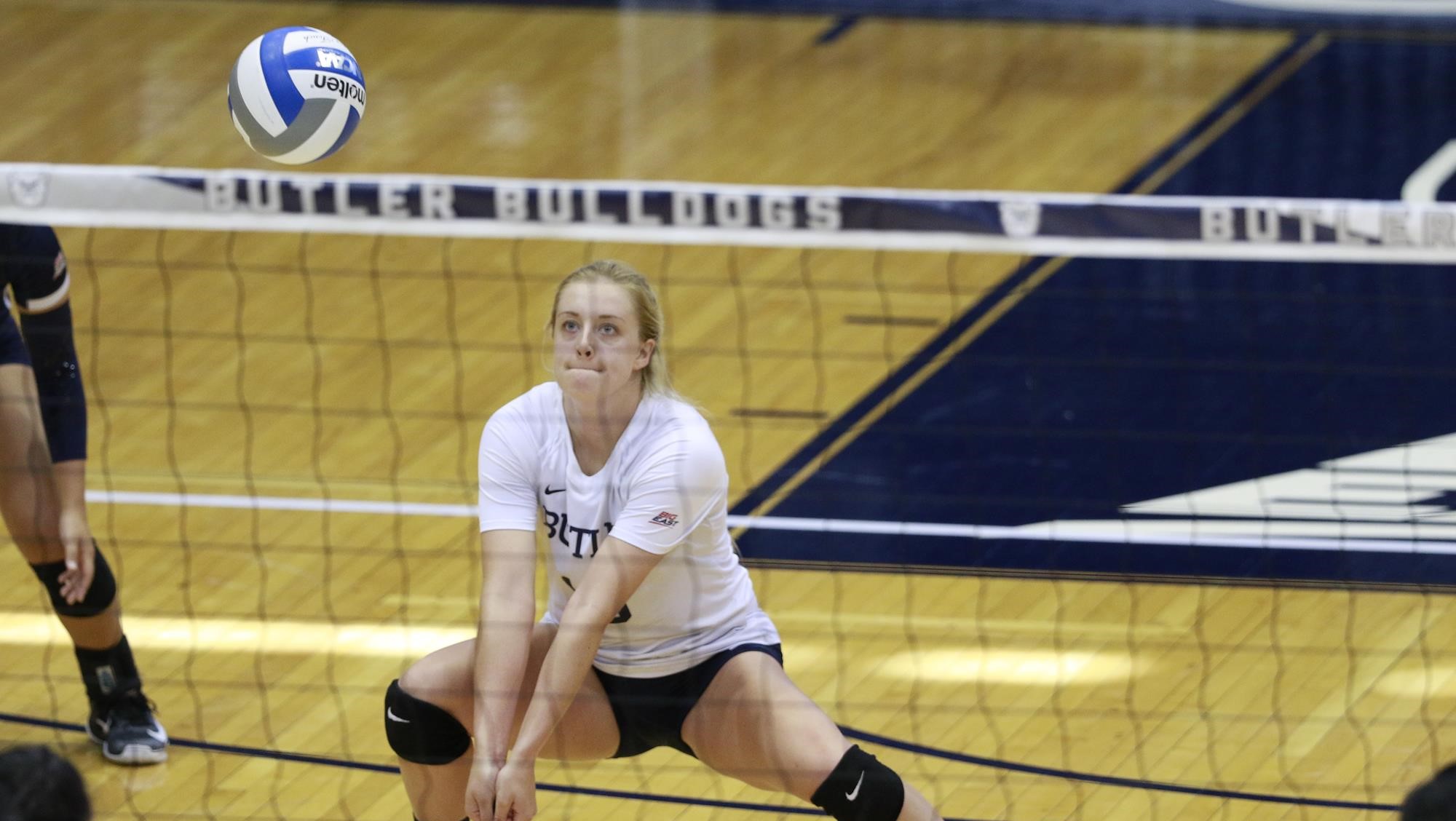 Whitney Beck - 2017 - Women's Volleyball - Butler University Athletics
