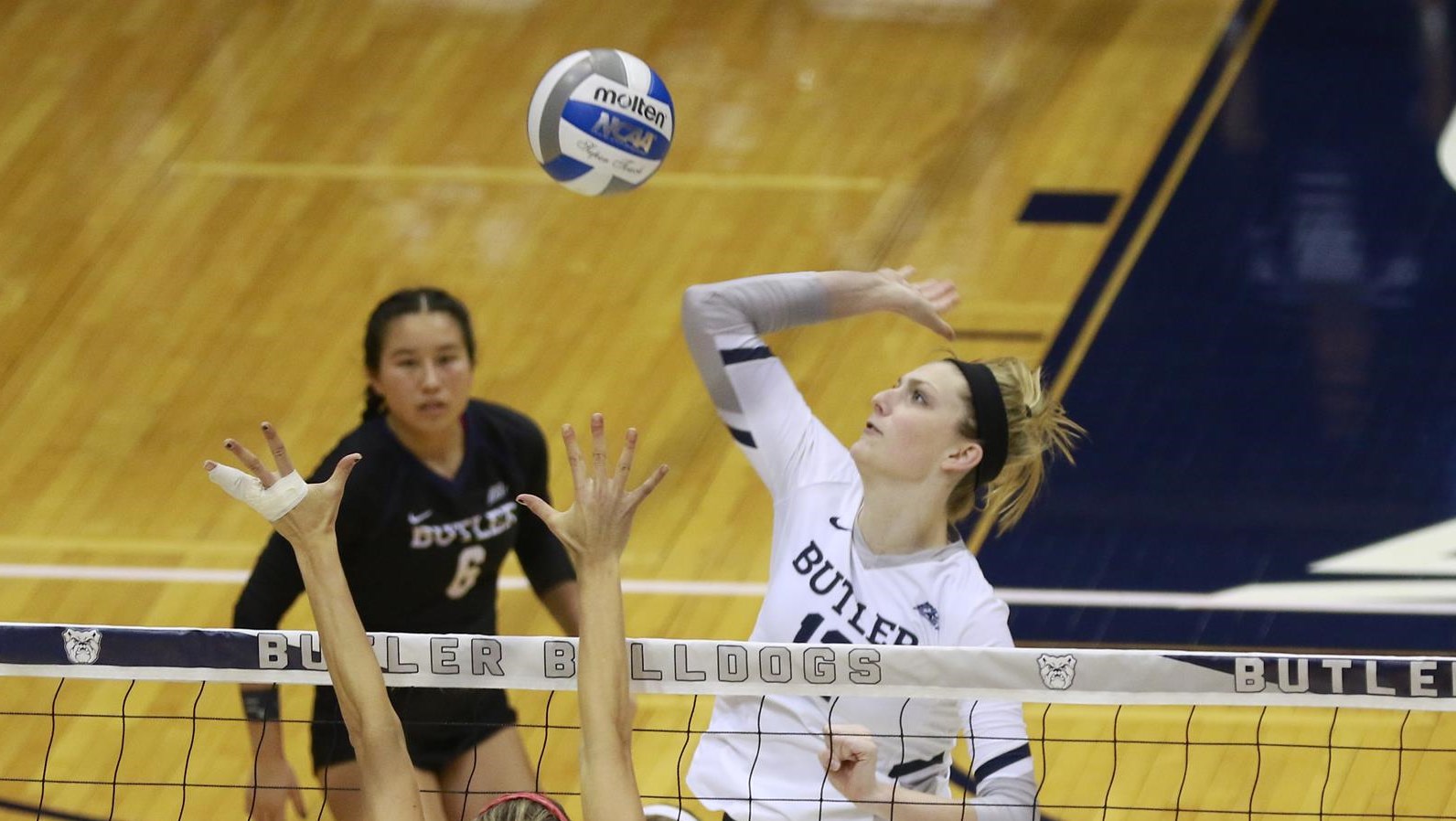 Brooke Gregory - 2019 - Women's Volleyball - Butler University Athletics
