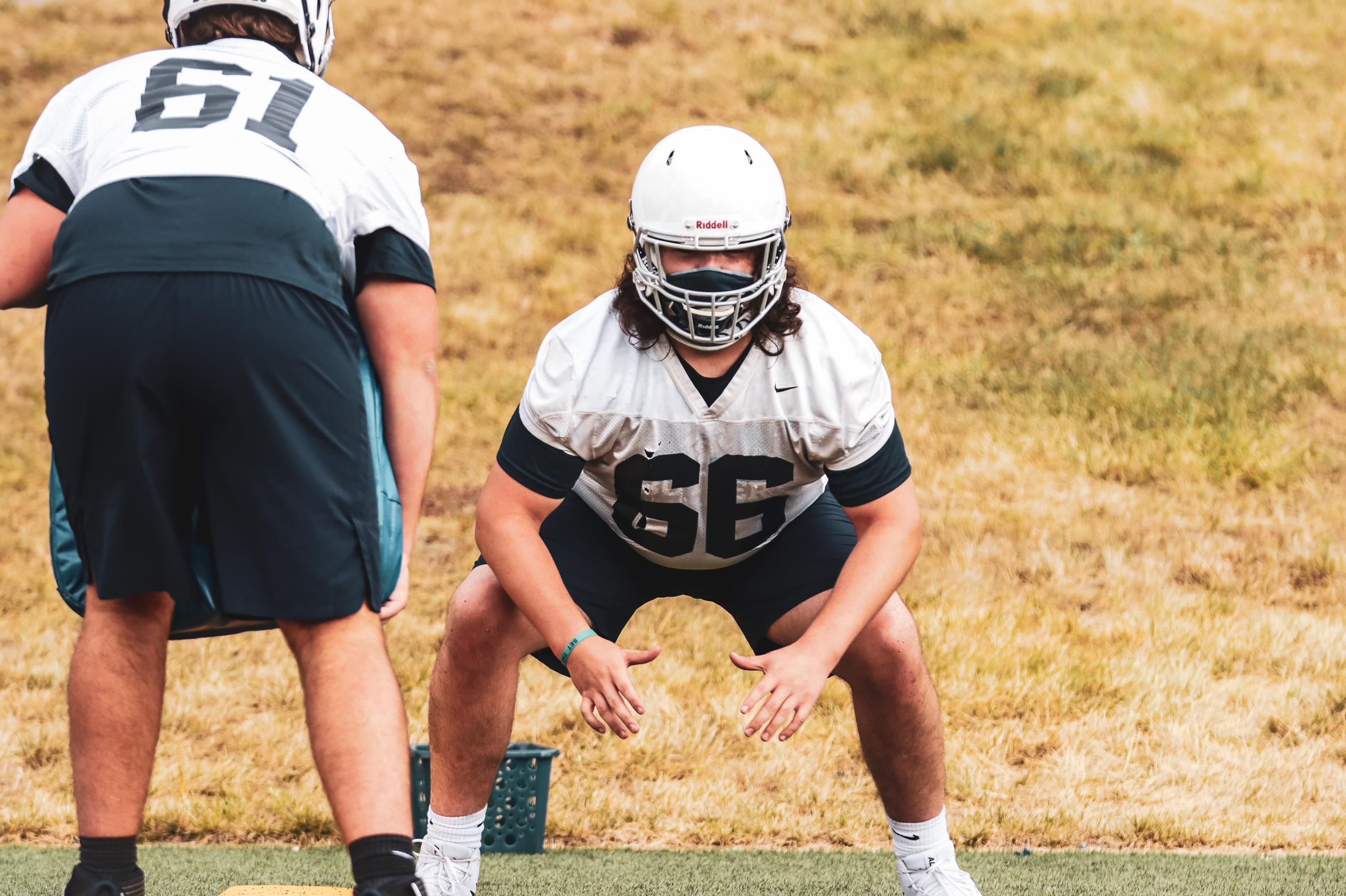 Fabian Johnson Charles Johnson