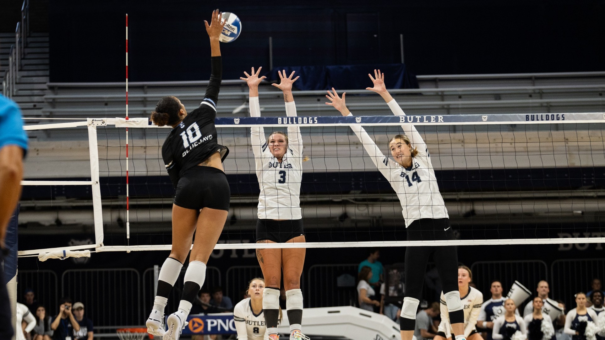 ButlerVB Loses to No. 11 Creighton in Three Sets - Butler University ...