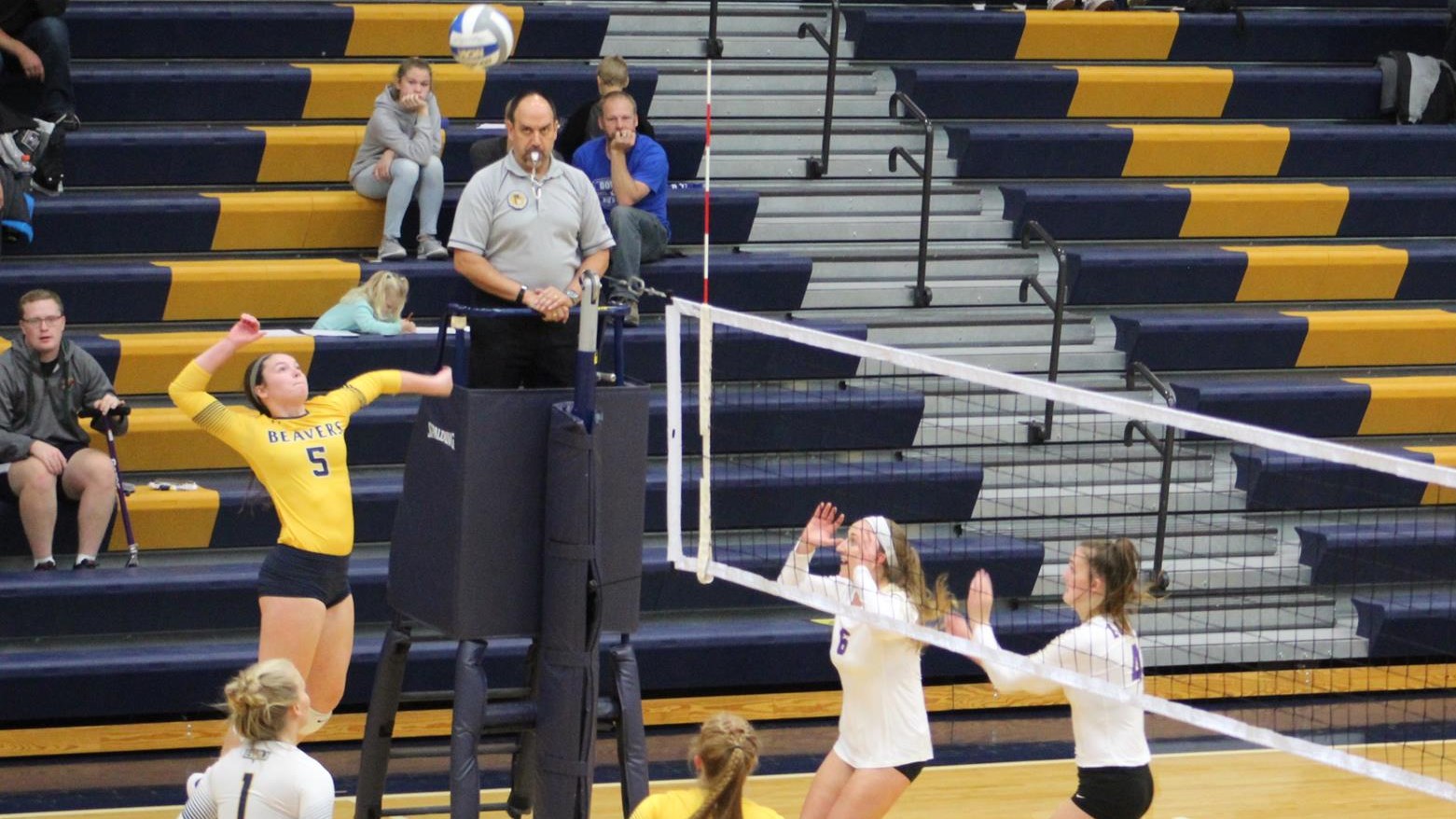 Sydney McLaren - 2021 - Women's Volleyball - Buena Vista University