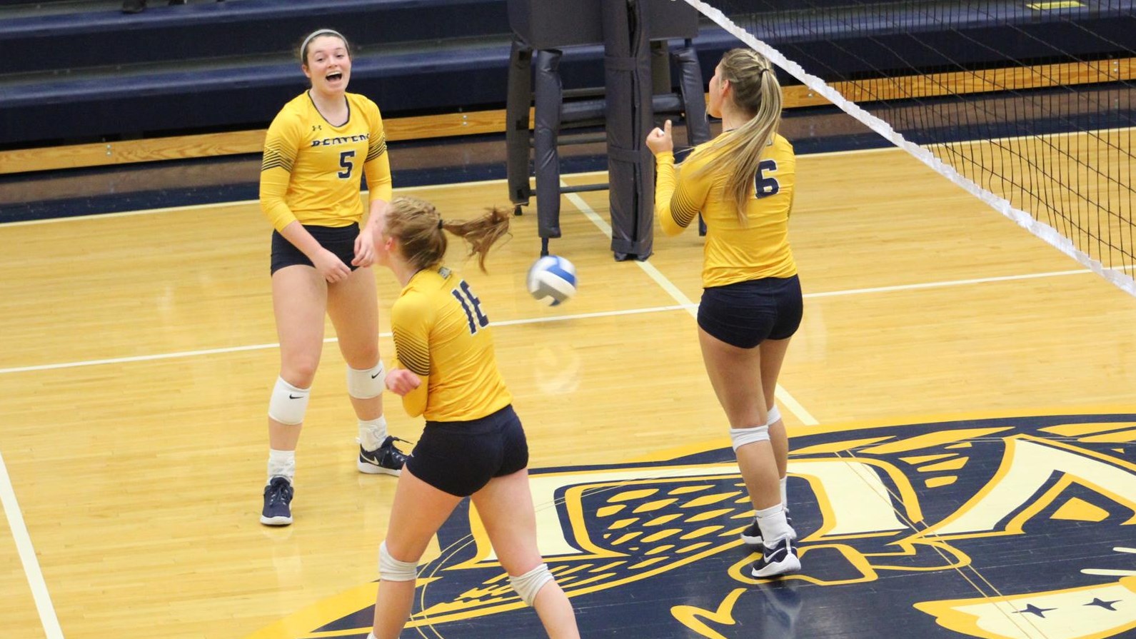 Beaver Volleyball Releases 2020 Schedule - Buena Vista University