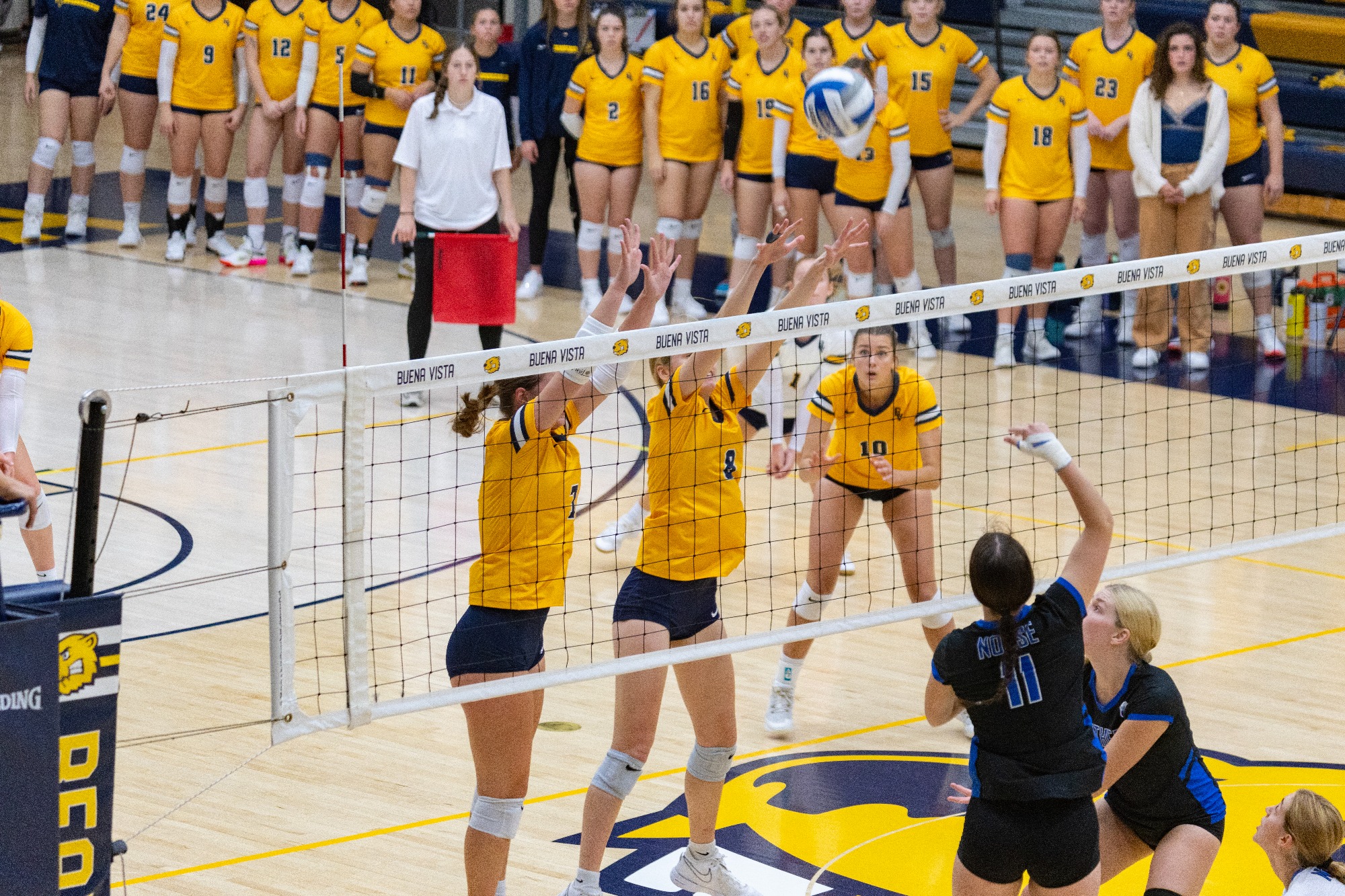 Luther Gets Past Volleyball in Three Sets - Buena Vista University