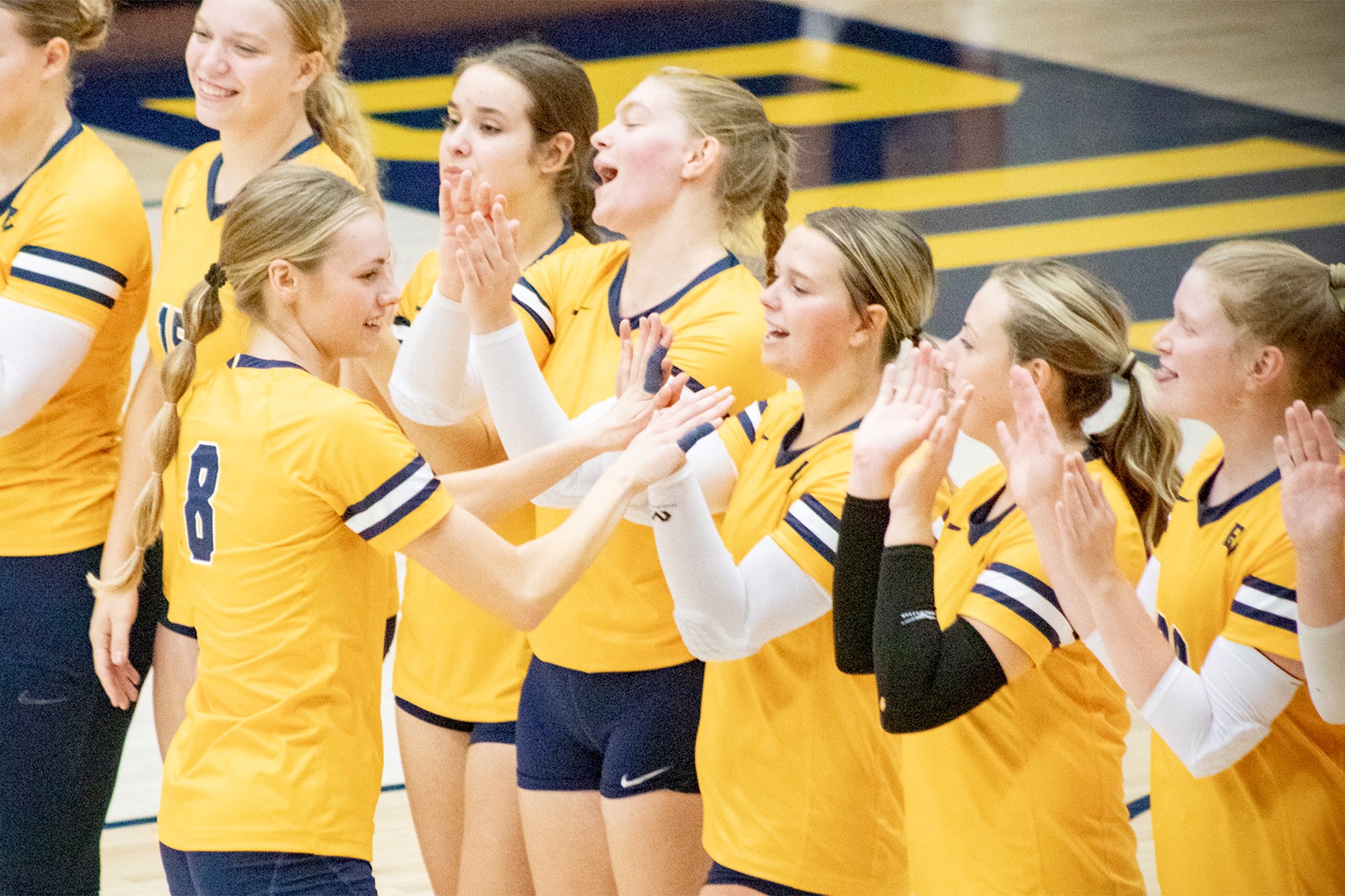 Skylar Cole - 2023 - Women's Volleyball - Buena Vista University