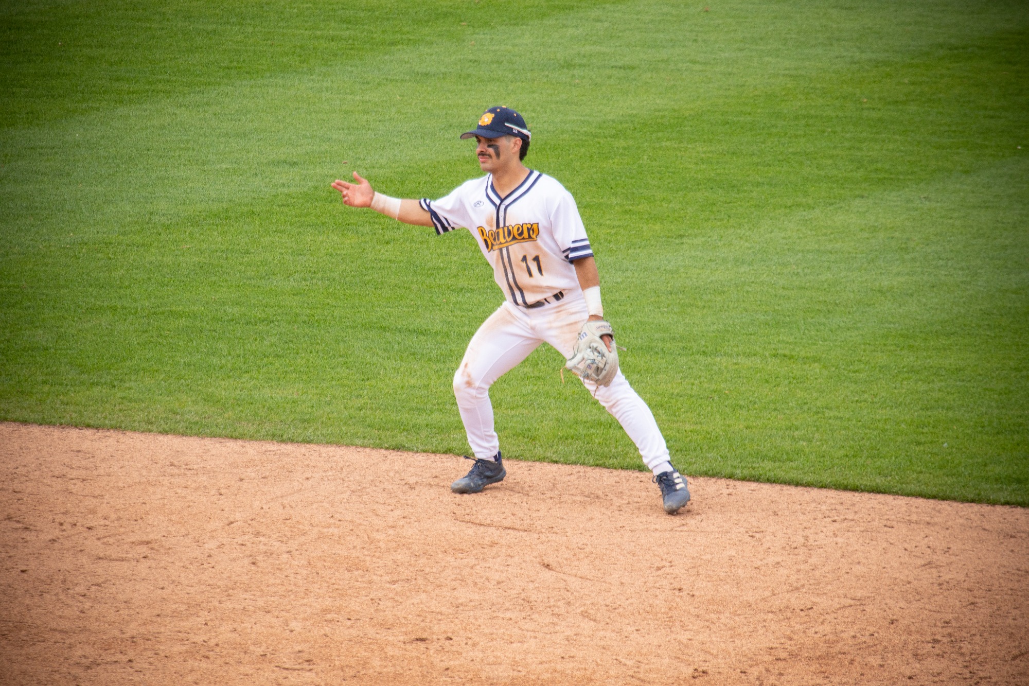 PREVIEW: Baseball set for NCAA Regional Tournament - Buena Vista University